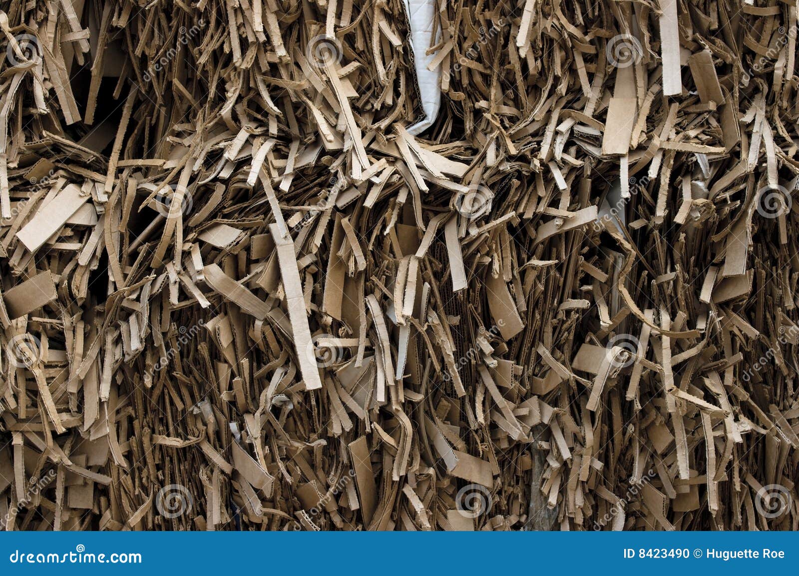 Cardboard strips stock photo. Image of facilities, factory - 8423490