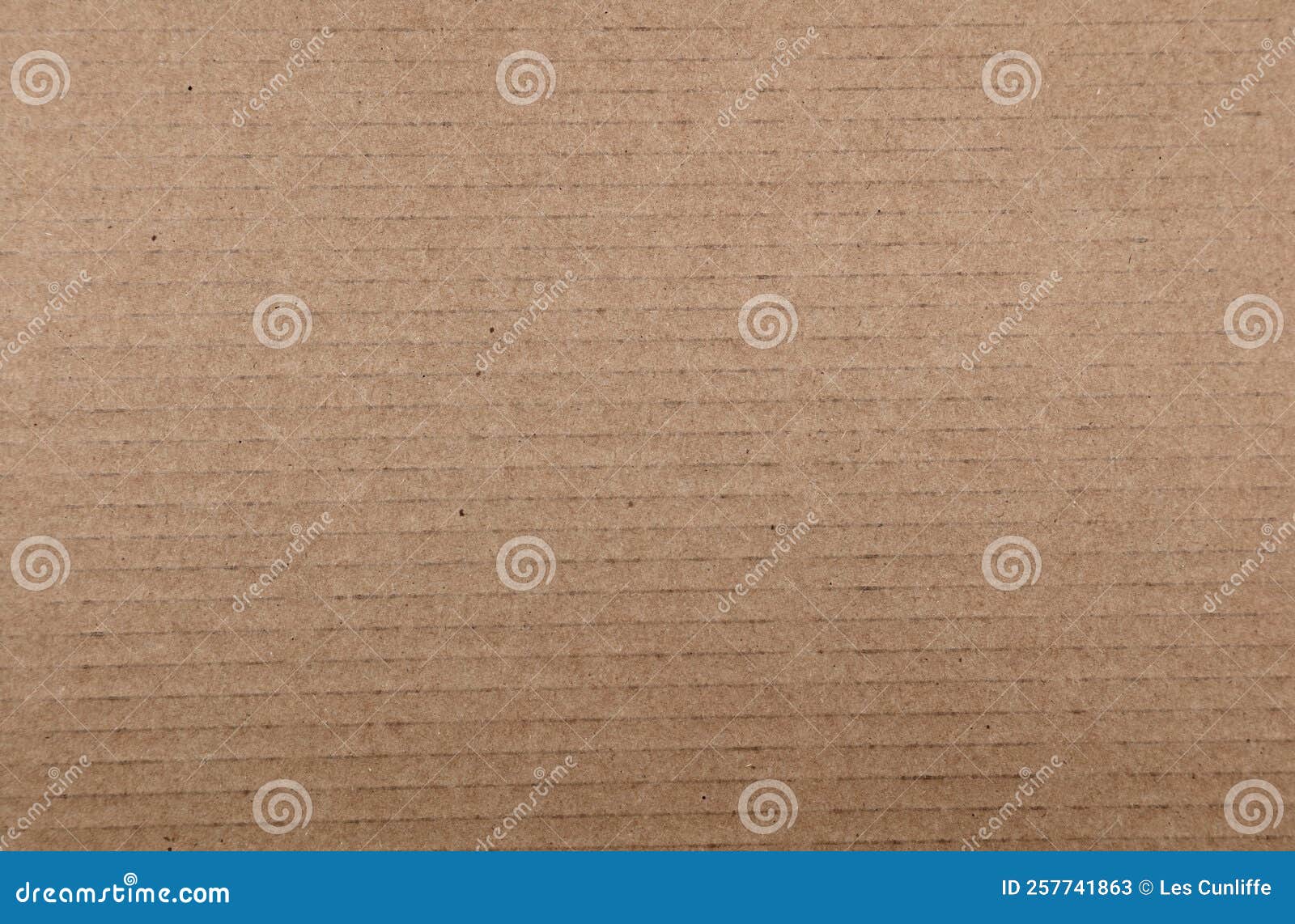 Cardboard Texture Background Stock Image - Image of paper, sheet: 257741863