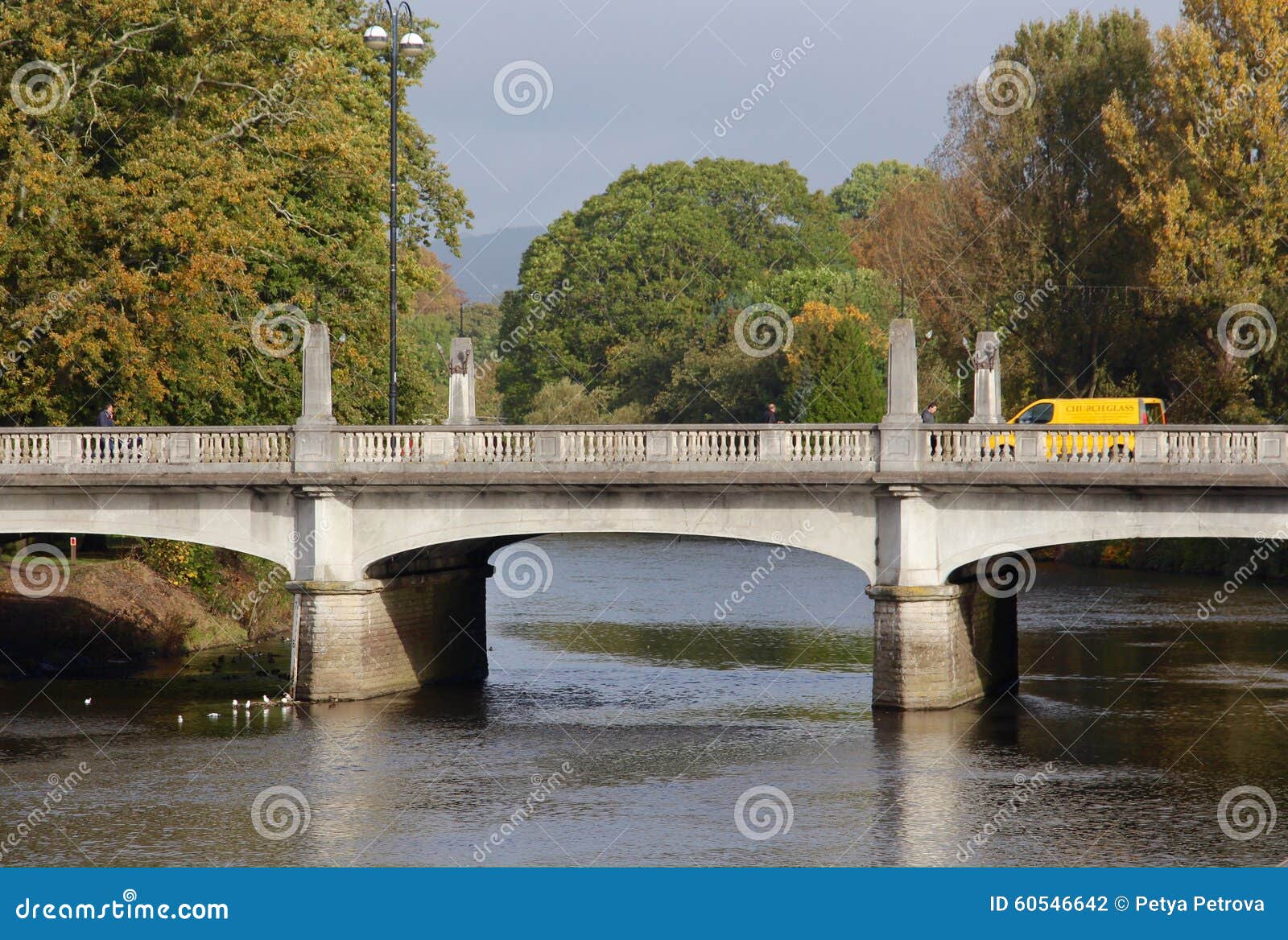 Cardiff, Wales, UK editorial photography. Image of trees - 60546642