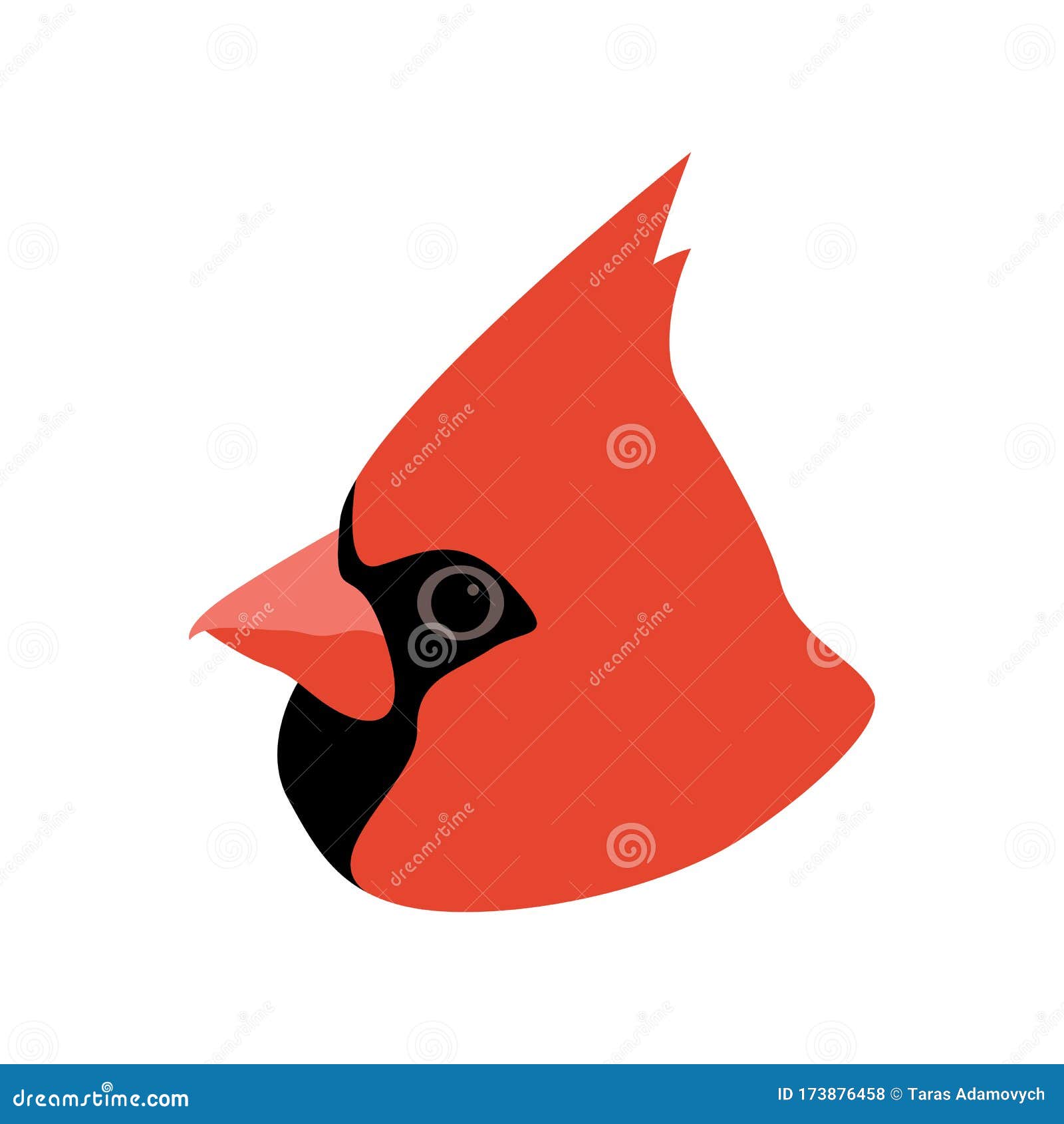 Cardinal Bird Head, Vector Illustration,flat Style Stock Vector ...