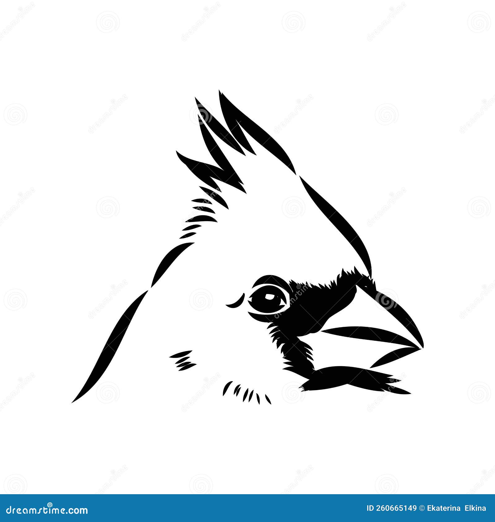 Cardinal Bird Sketch, Vector Illustration. Hand Drawn Red Cardinal Bird ...