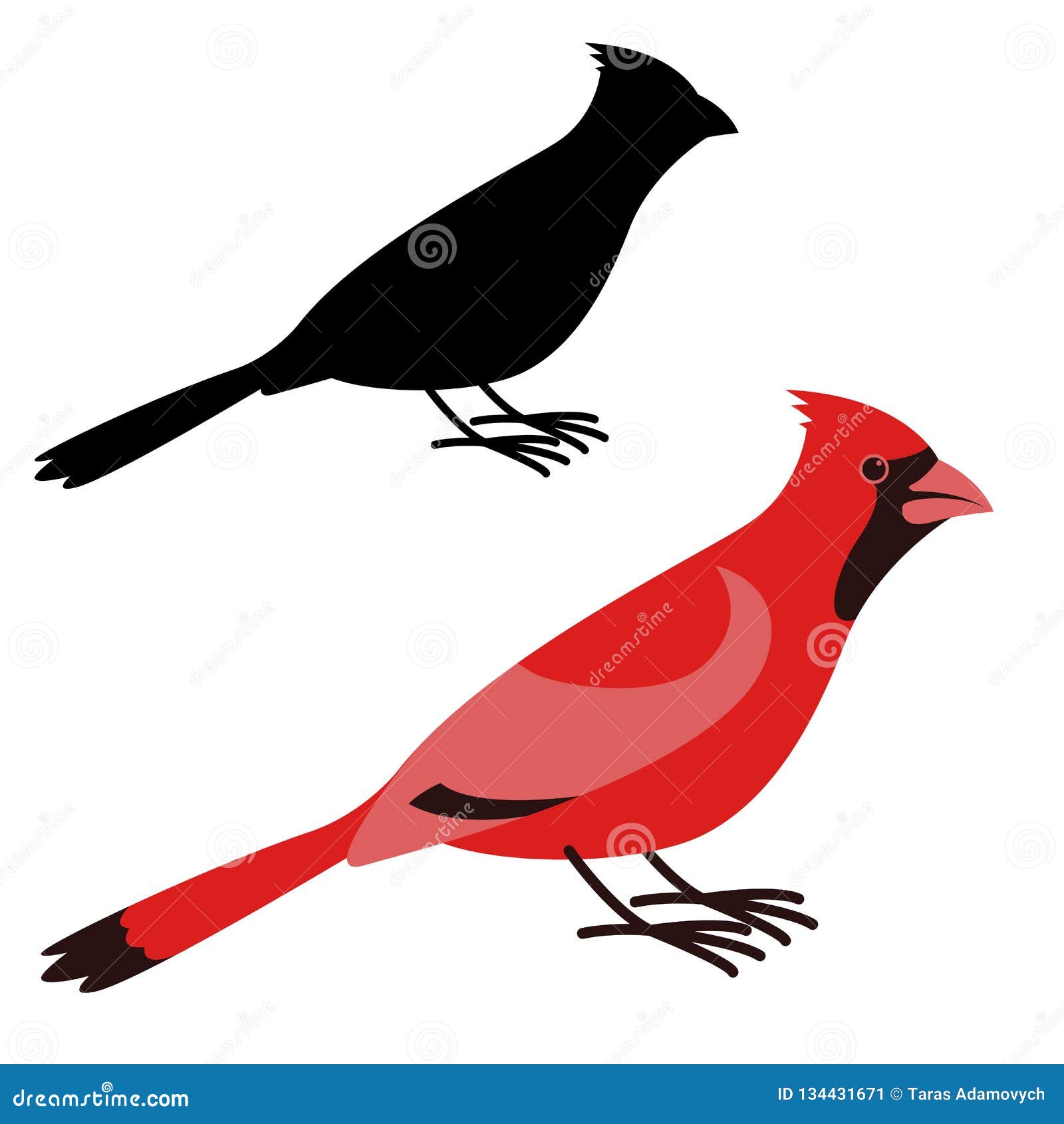 Cardinal Bird, Vector Illustration ,flat Style ,profile Stock Vector ...