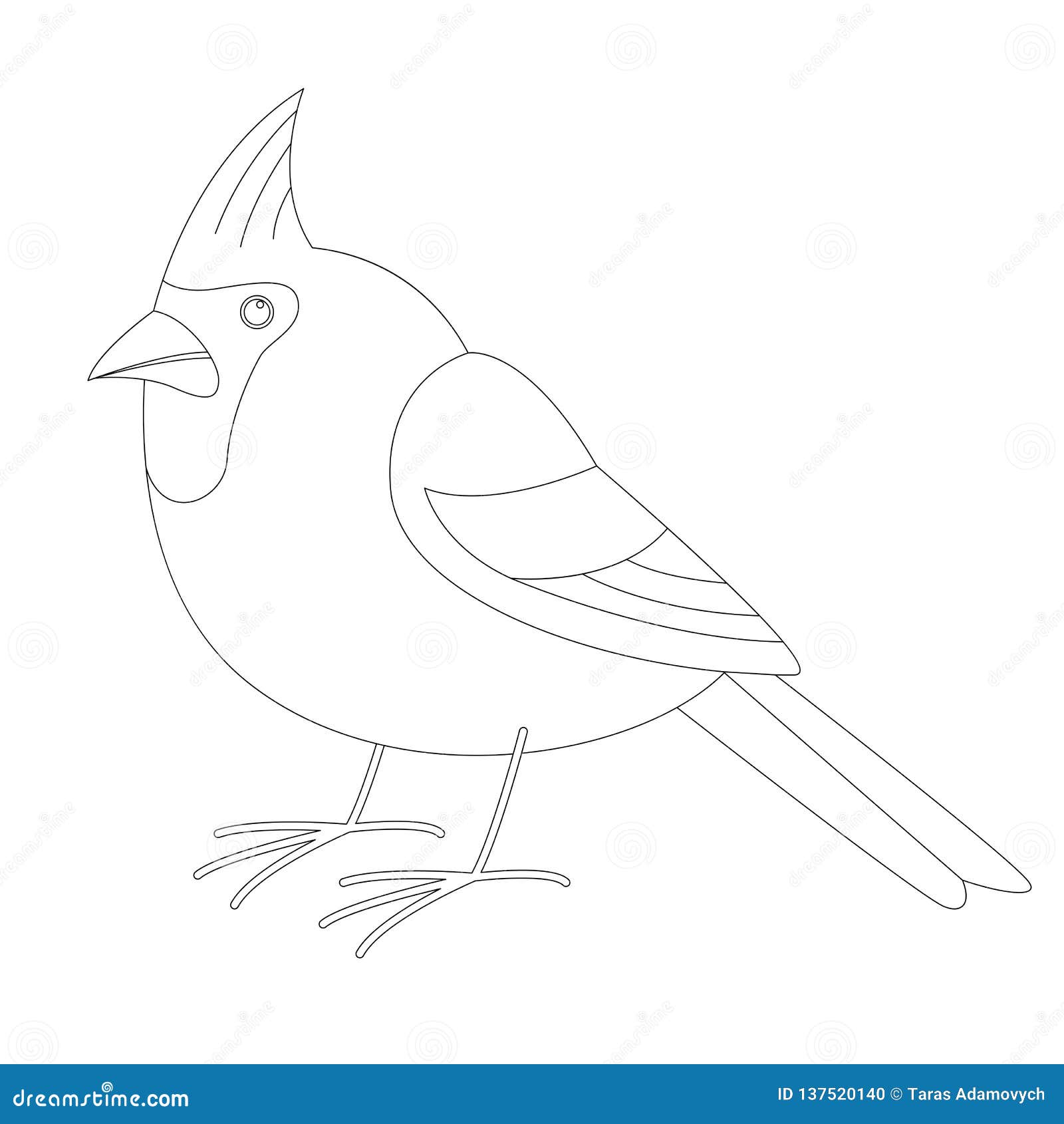 Cardinal Bird,vector Illustration,lining Draw , Profile Stock Vector ...