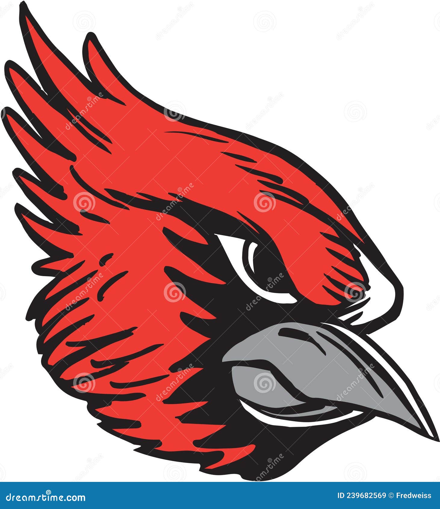 Cardinal Head Vector Illustration Stock Vector - Illustration of sport ...