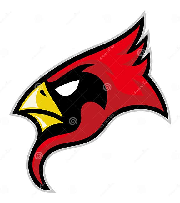 Cardinal head stock vector. Illustration of school, icon - 48513504