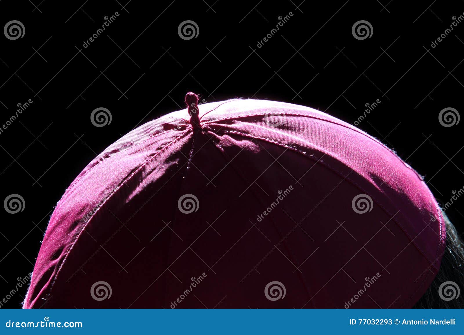 Cardinal skullcap stock image. Image of skullcap, purple - 77032293