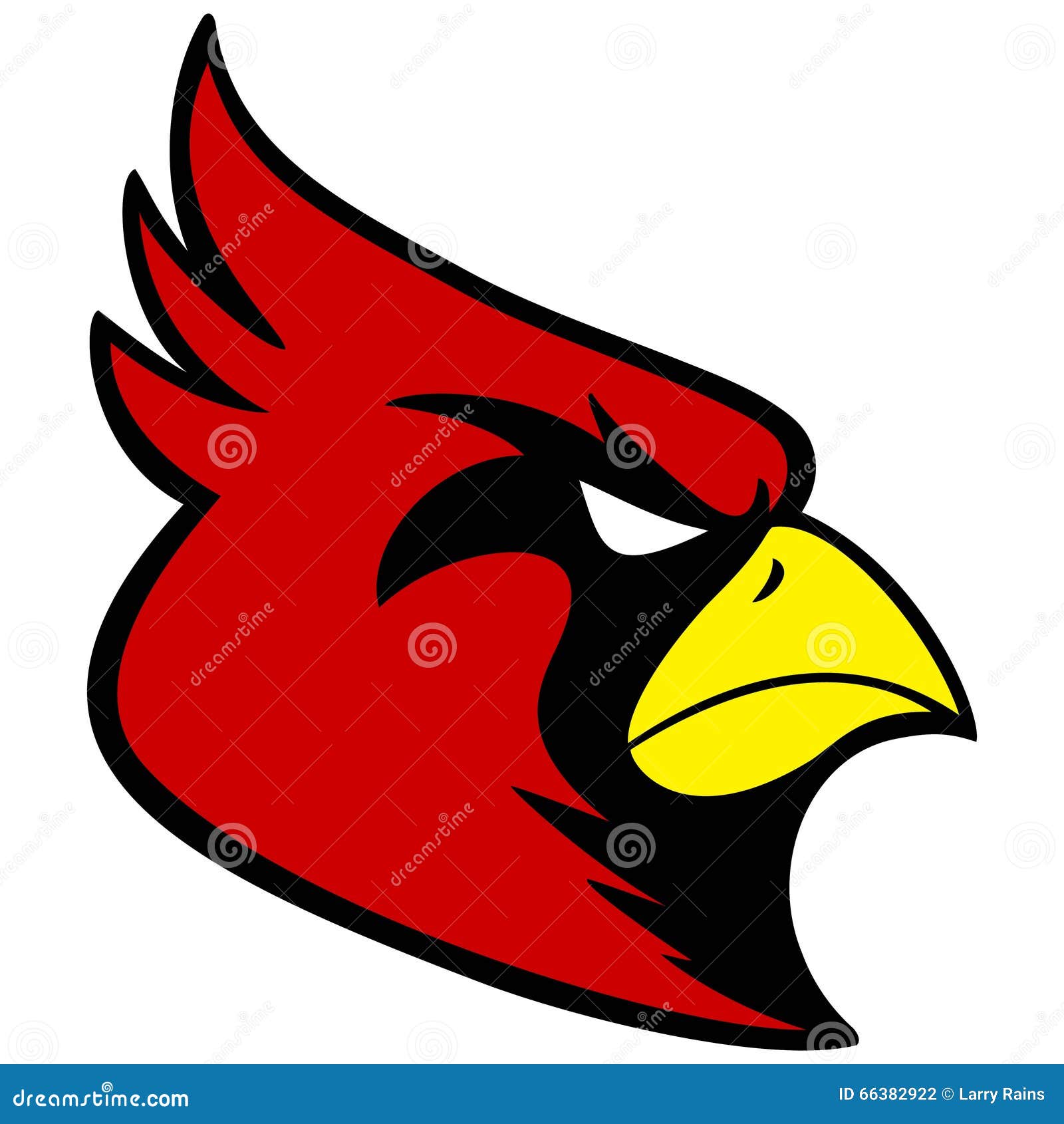 Cardinal Sports Mascot stock vector. Illustration of college - 66382922