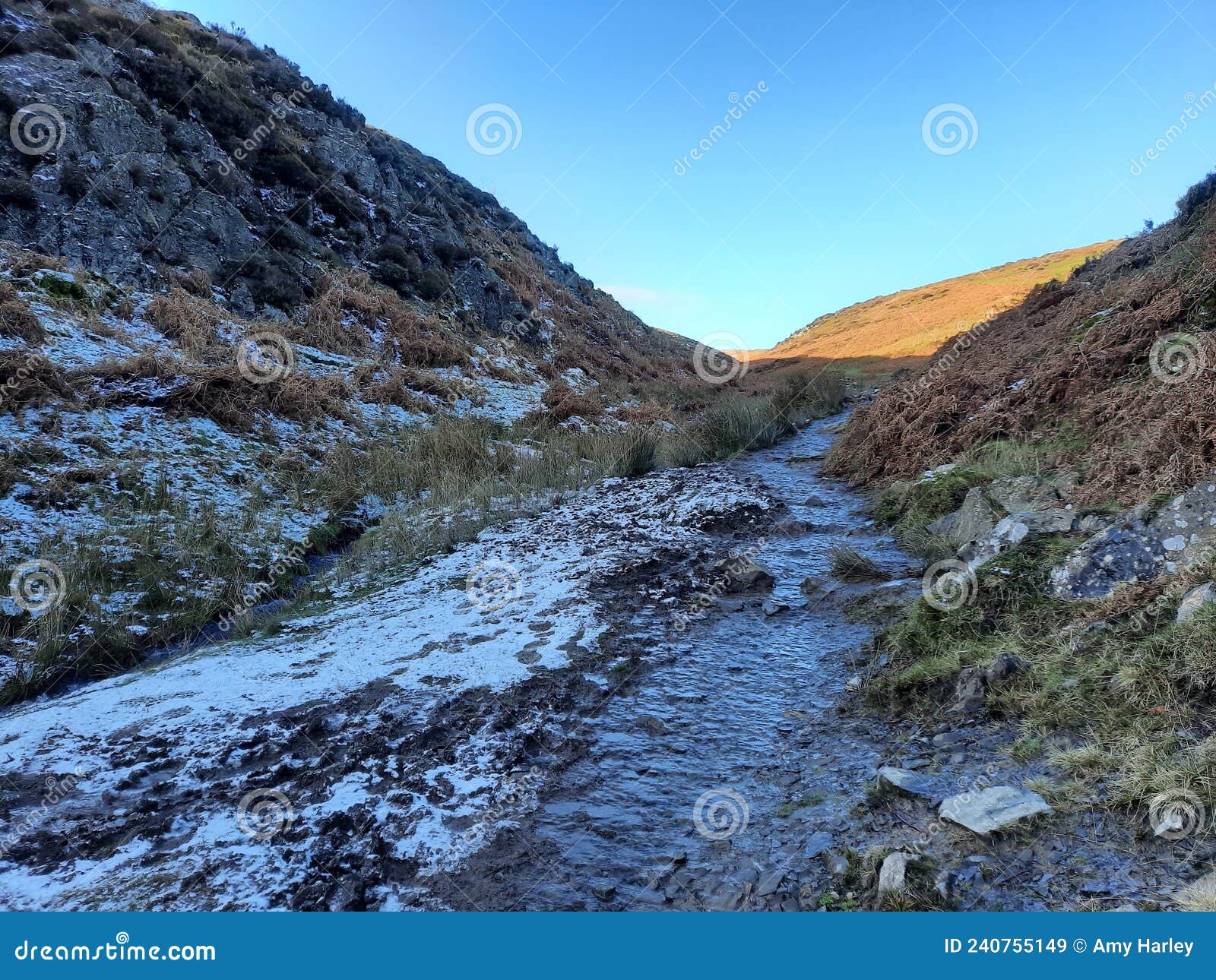 Carding Mill Valley, Shropshire Stock Image - Image of trail, valley ...