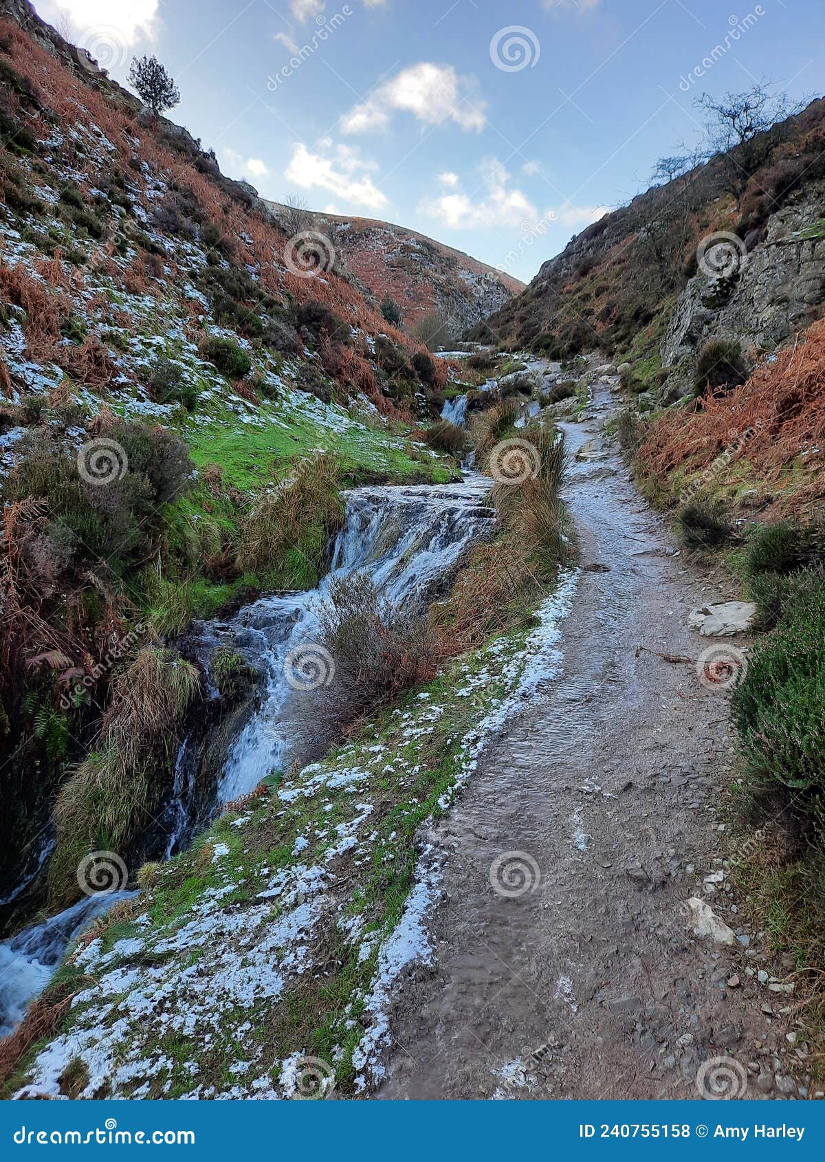 Carding Mill Valley, Shropshire Stock Photo - Image of river, carding ...