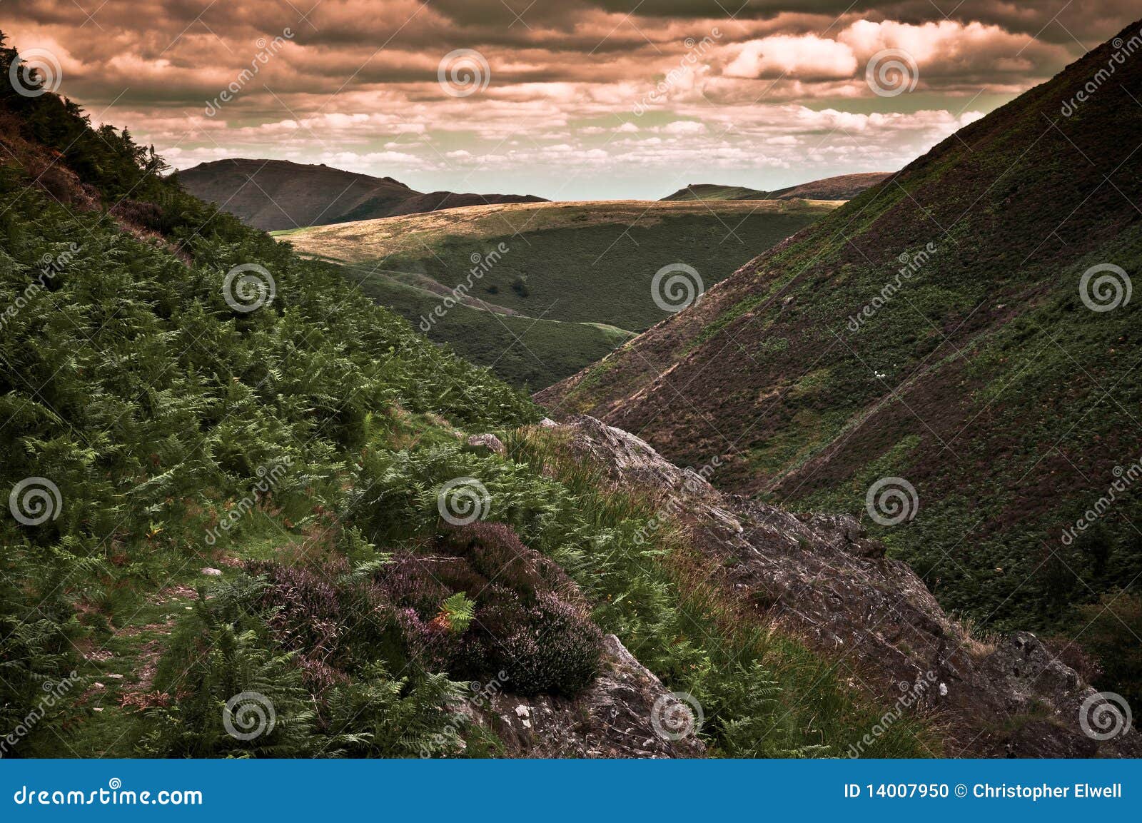 Carding Mill Vally stock photo. Image of area, track - 14007950