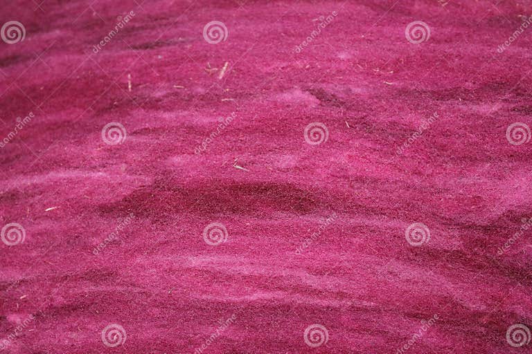 Carding sheep wool stock photo. Image of embedded, fibers - 84848230