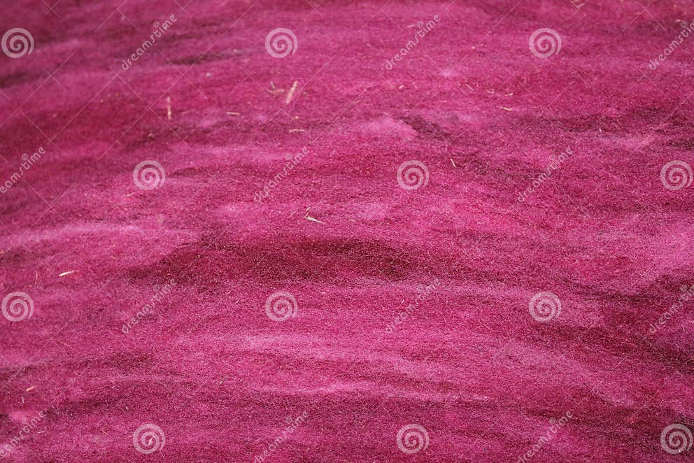 Carding sheep wool stock photo. Image of embedded, fibers - 84848230