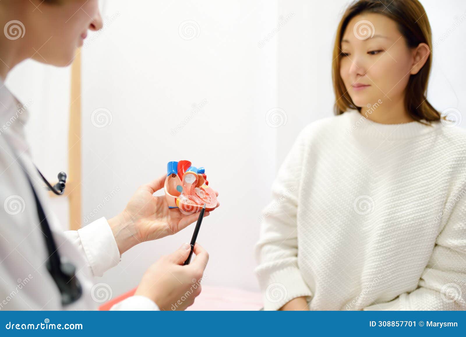 A Cardiologist during Appointment of Patient. Doctor Shows Anatomical ...