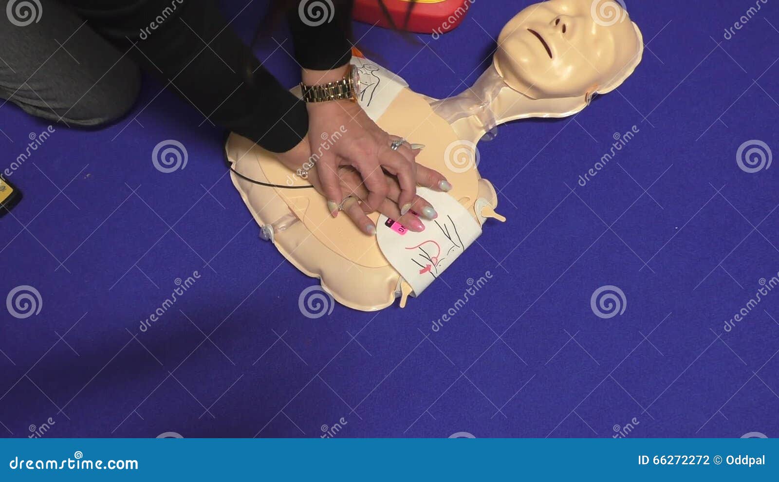 Cardiopulmonary Resuscitation Training Stock Footage Video Of Cardiac Manikin 66272272
