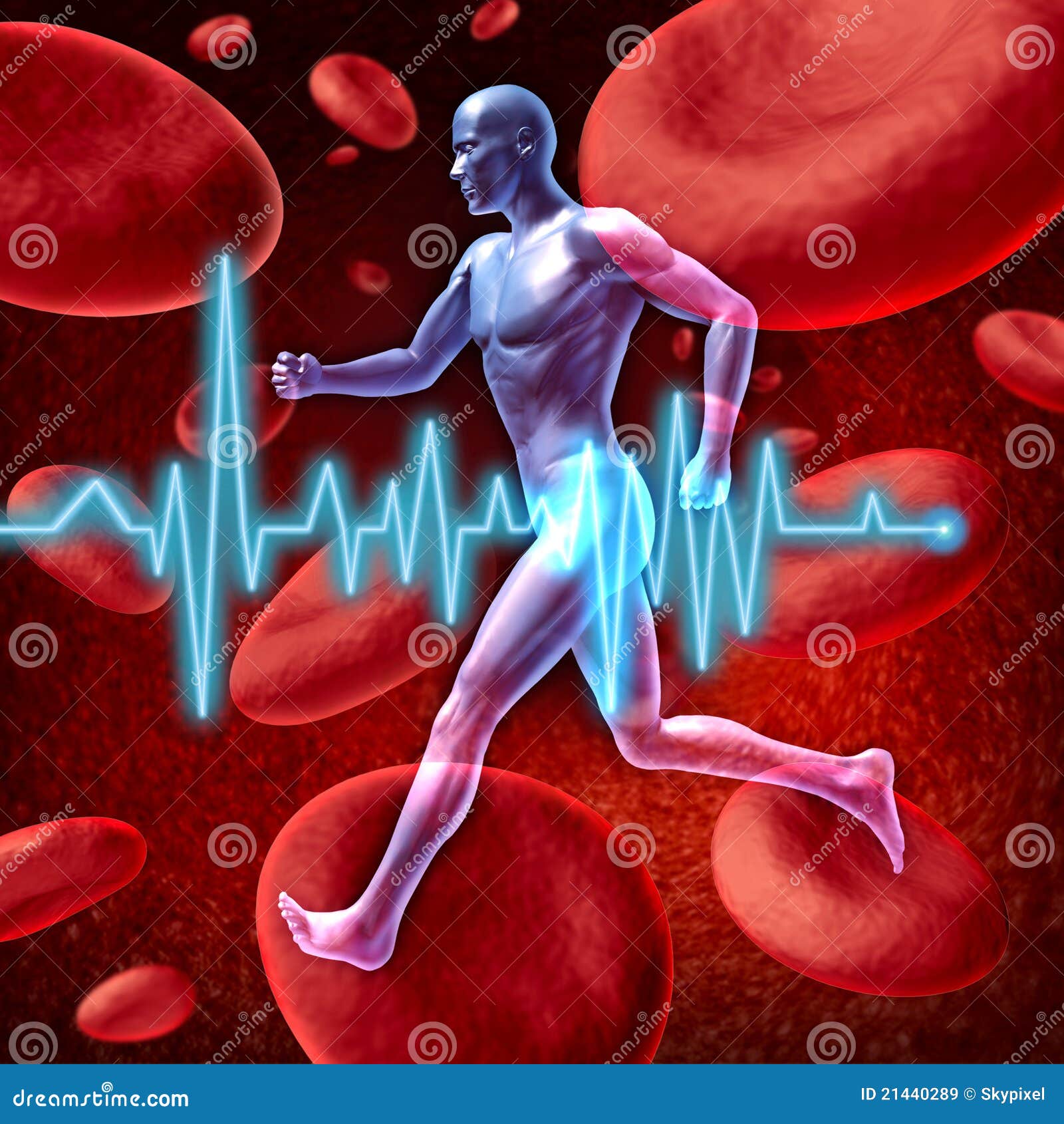 Cardiovascular circulation stock illustration. Illustration of ...