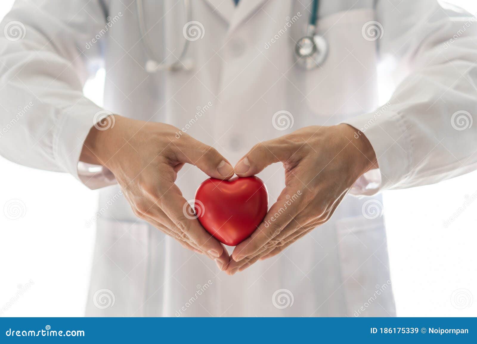 Cardiovascular Disease Doctor Or Cardiologist Holding Red Heart In