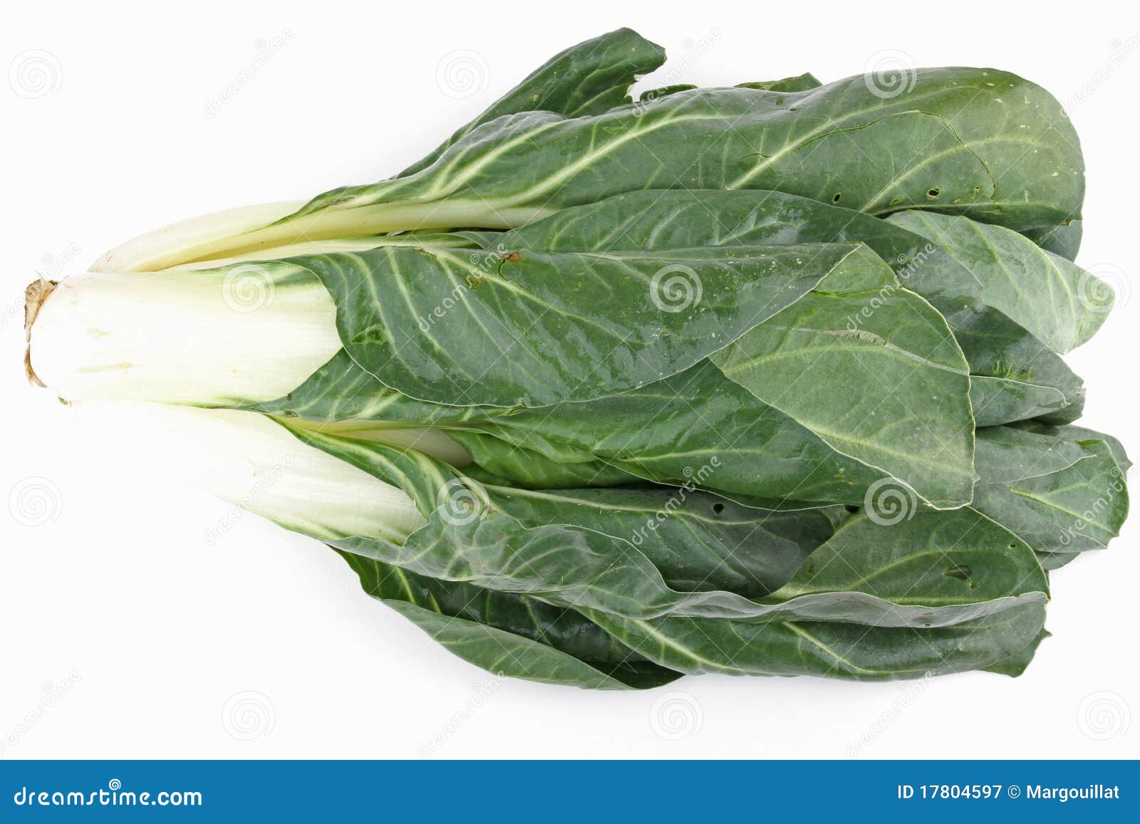 Cardo imagen de archivo. Imagen de vegetariano, suizo - 17804597