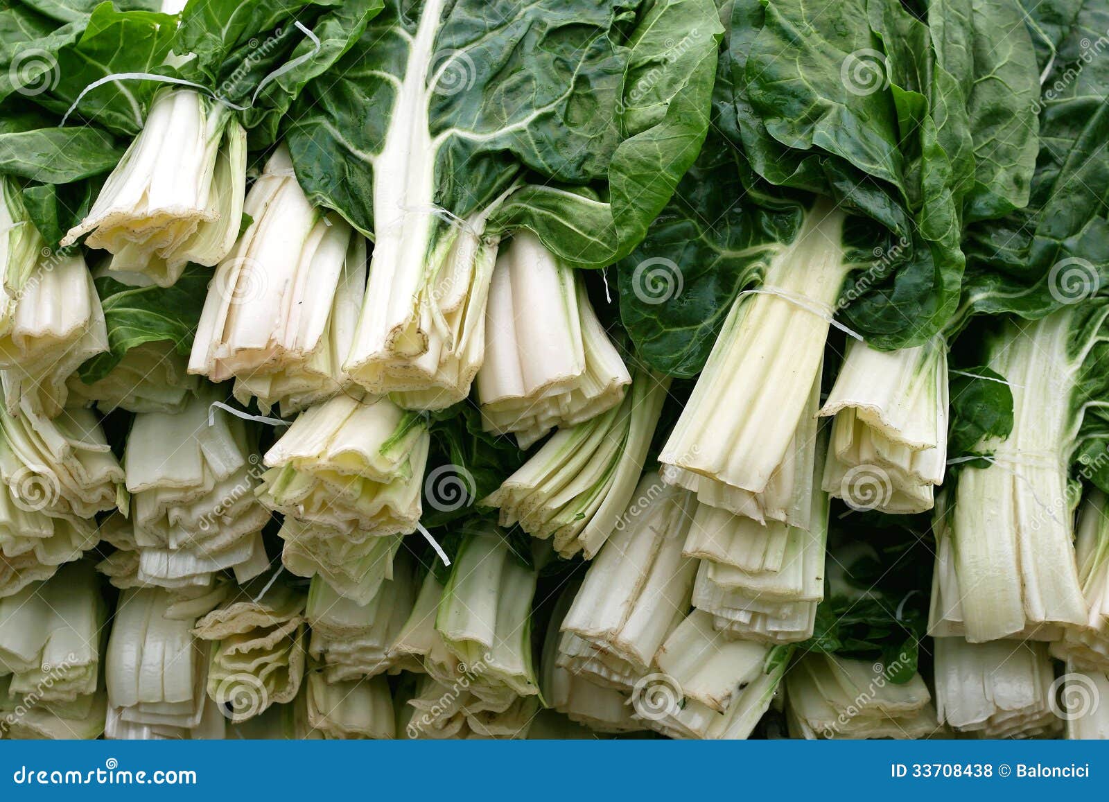 Cardo foto de archivo. Imagen de cardo, suizo, mercado - 33708438