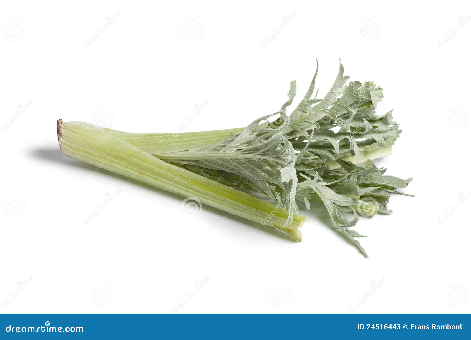 Cardo fresco imagen de archivo. Imagen de alcachofa, mercado - 24516443