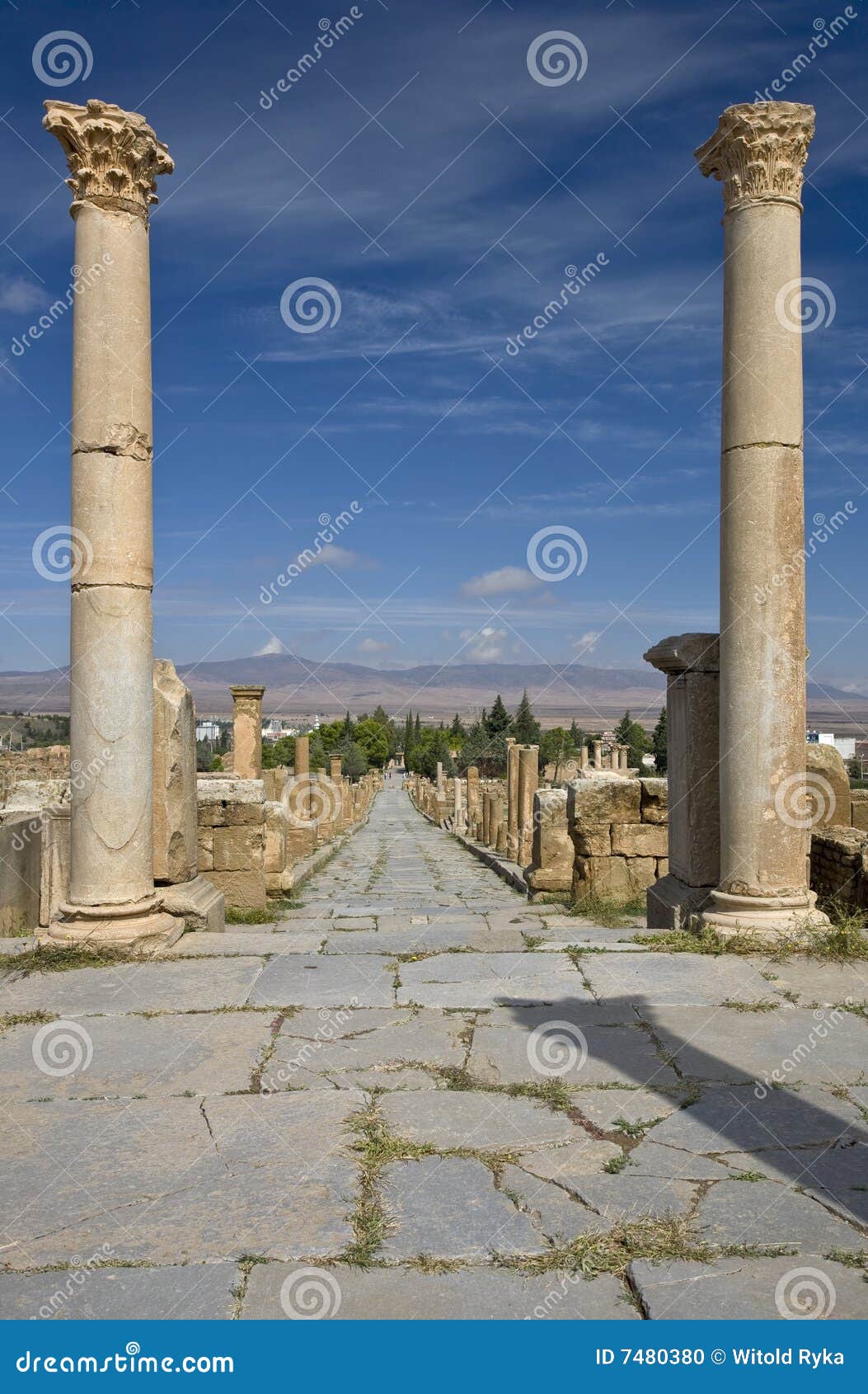 Cardo street in Timgad stock photo. Image of marble, blue - 7480380