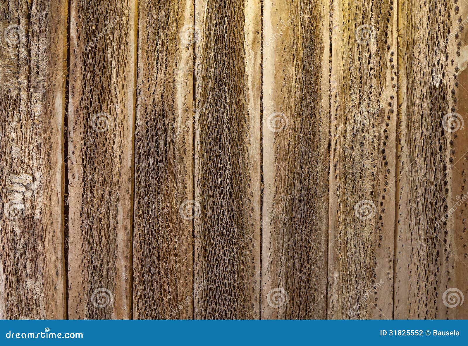 Cardon boards stock photo. Image of furniture, vegetable - 31825552