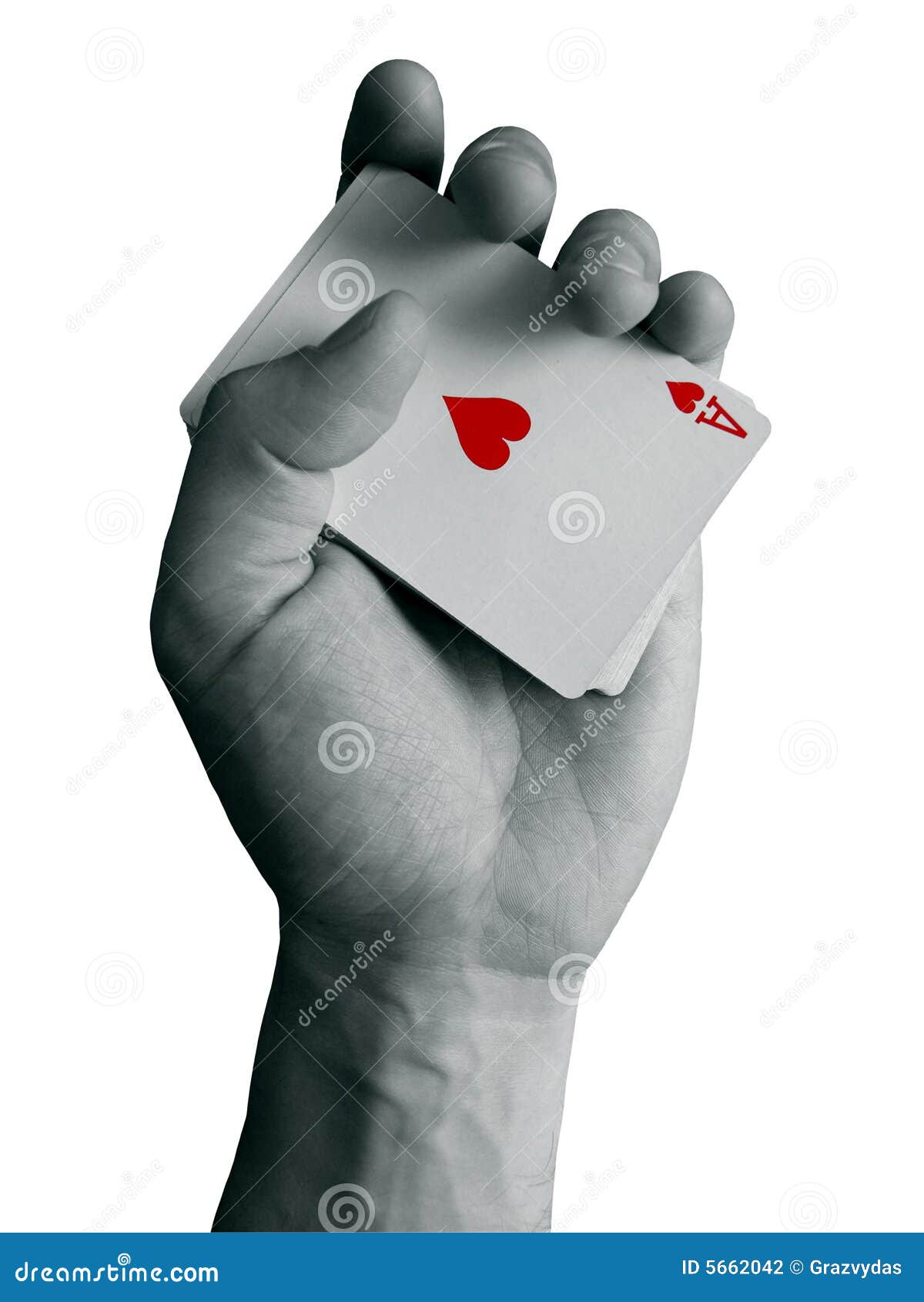 Cards at hand stock photo. Image of cards, gamble, game - 5662042