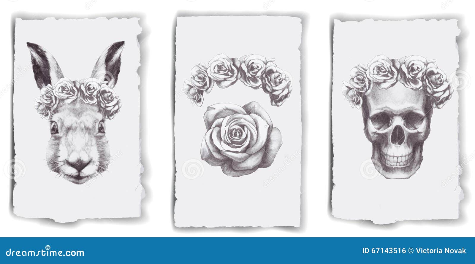 Rabbit Skull Cartoon Illustration Motif Set | CartoonDealer.com #138235946