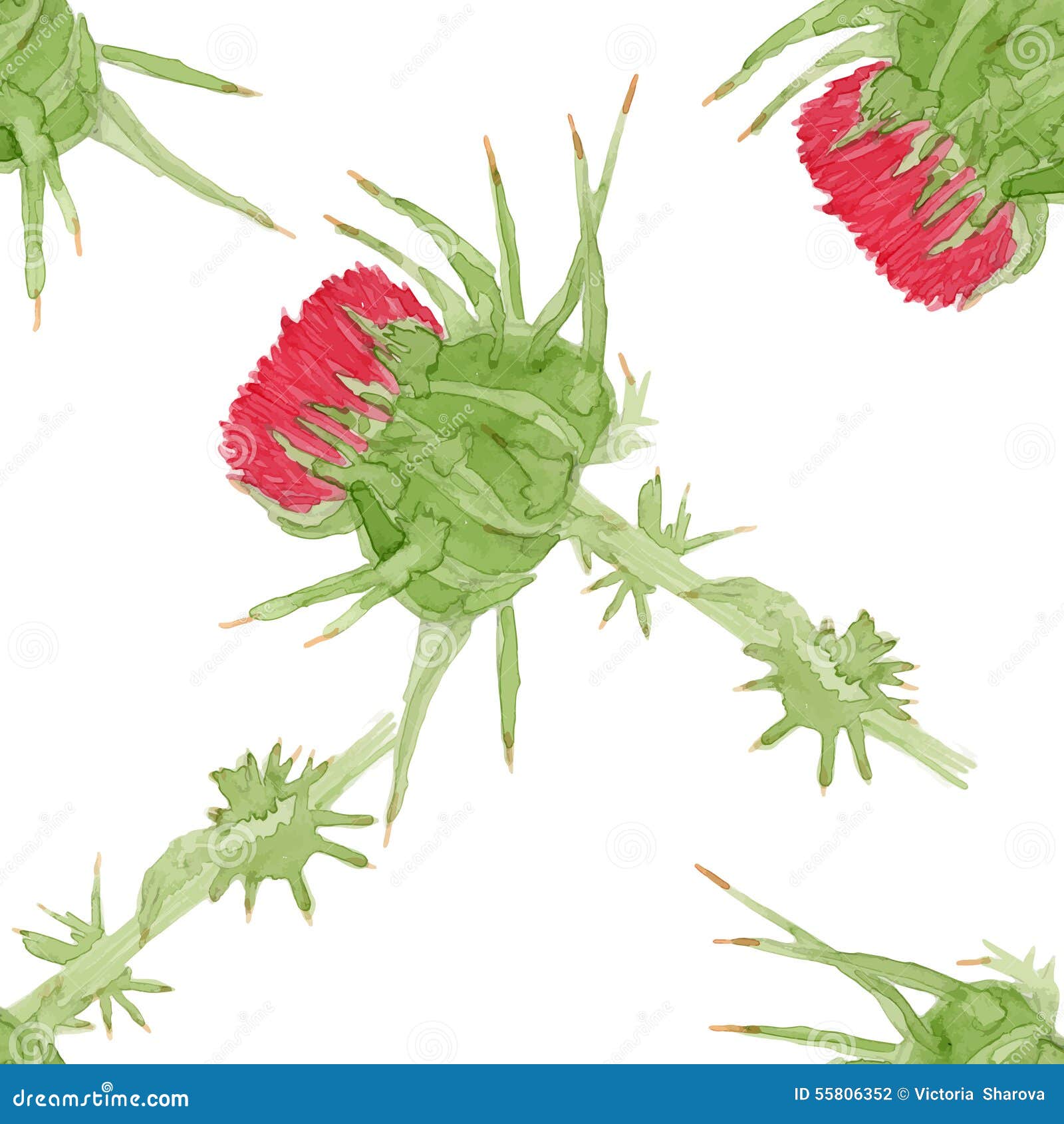 Carduus Watercolor Seamless Pattern Stock Vector - Illustration of ...