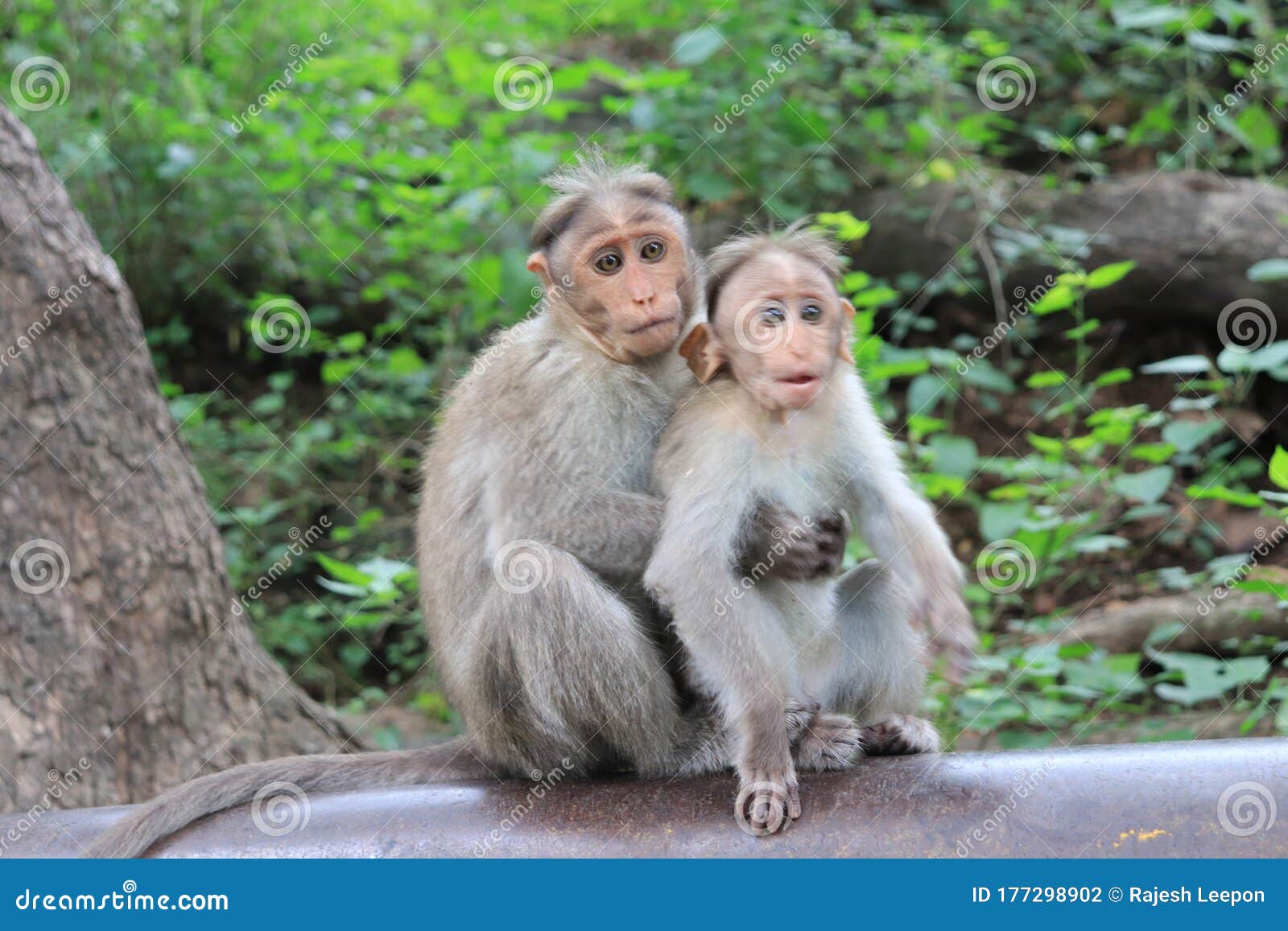 Care and Affection stock photo. Image of care, mothers - 177298902