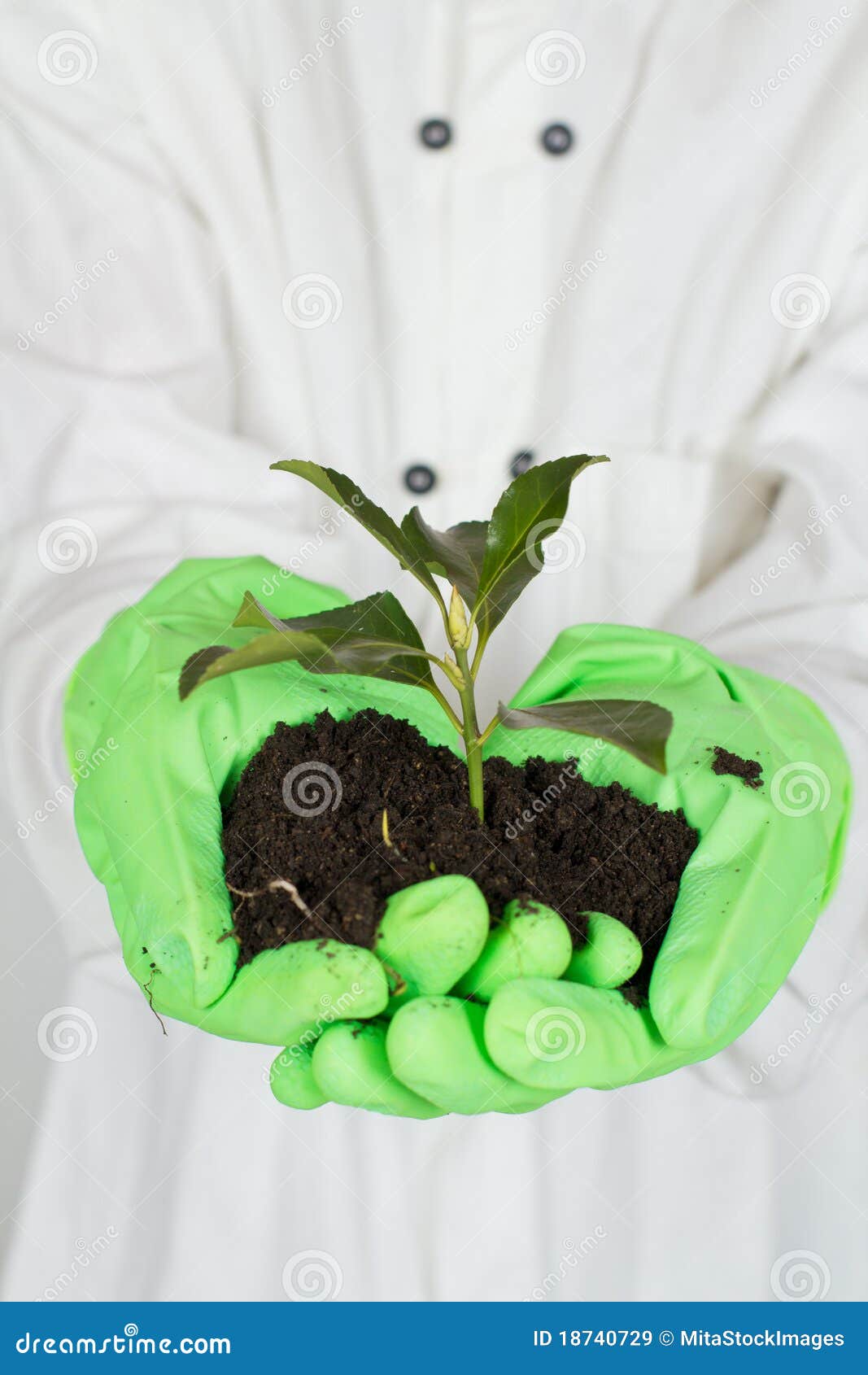 Care about earth stock image. Image of ecology, background - 18740729