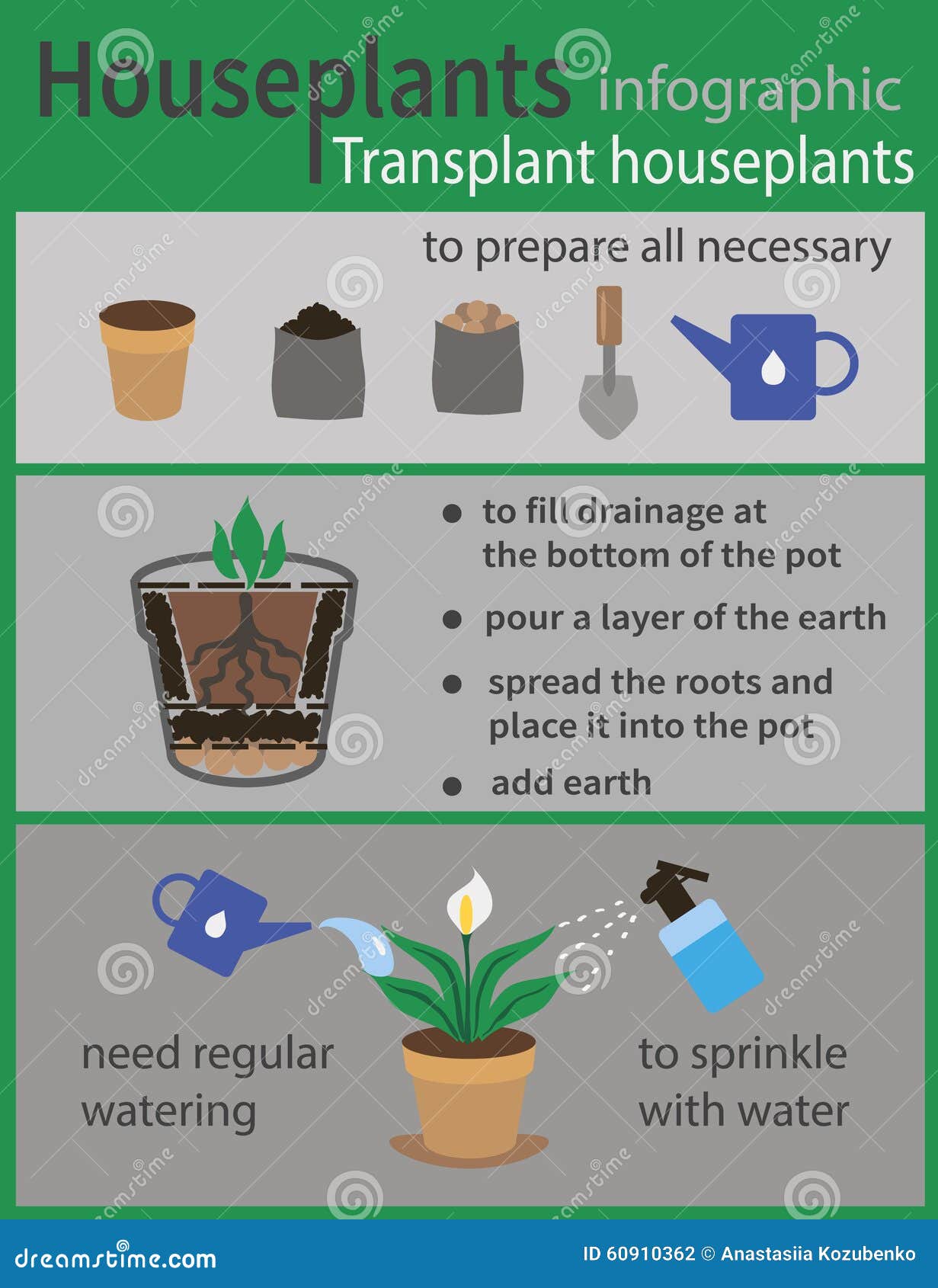Care Houseplants Infographic Stock Illustration - Illustration of ...