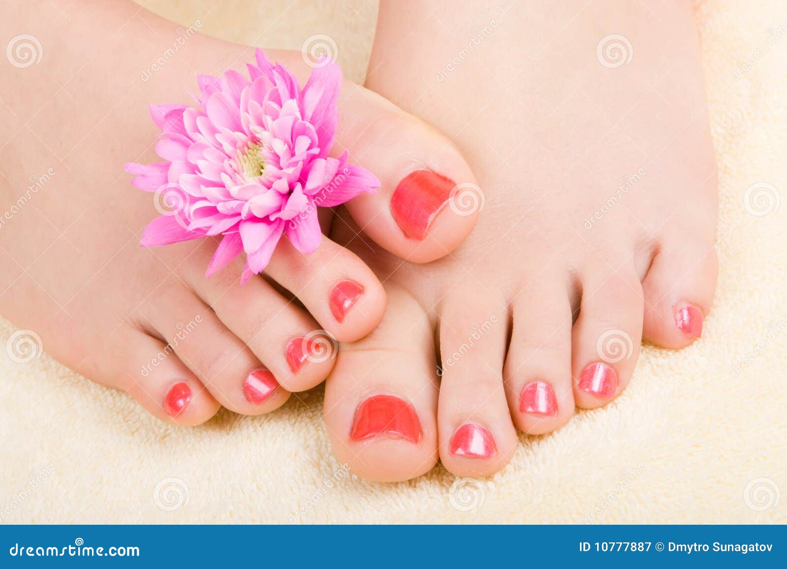 Care for woman legs stock image. Image of finger, cosmetics - 10777887