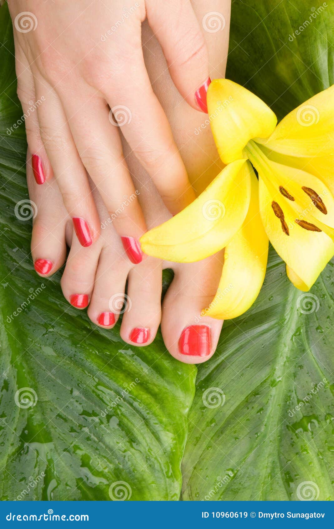 Care for woman legs stock image. Image of fresh, health - 10960619