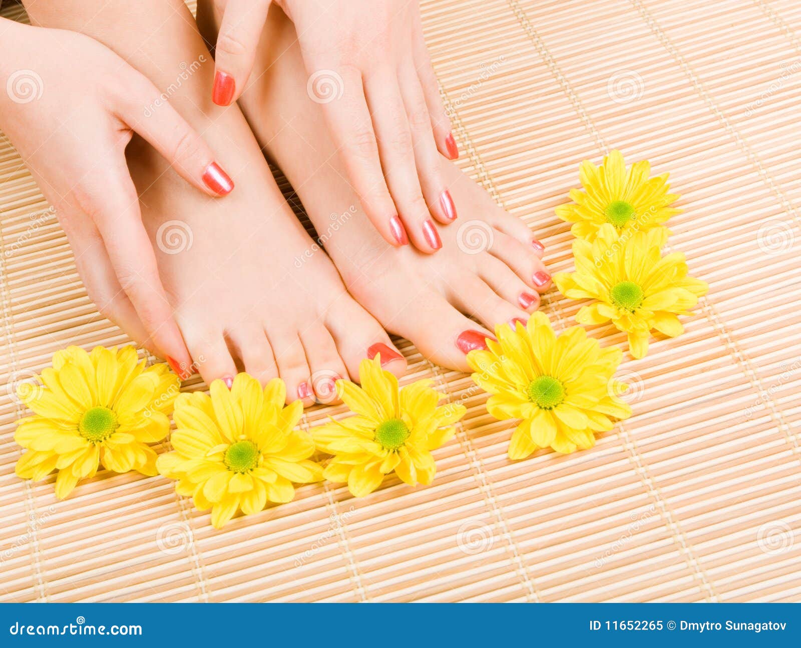 Care for woman legs stock image. Image of cosmetic, fingernail - 11652265