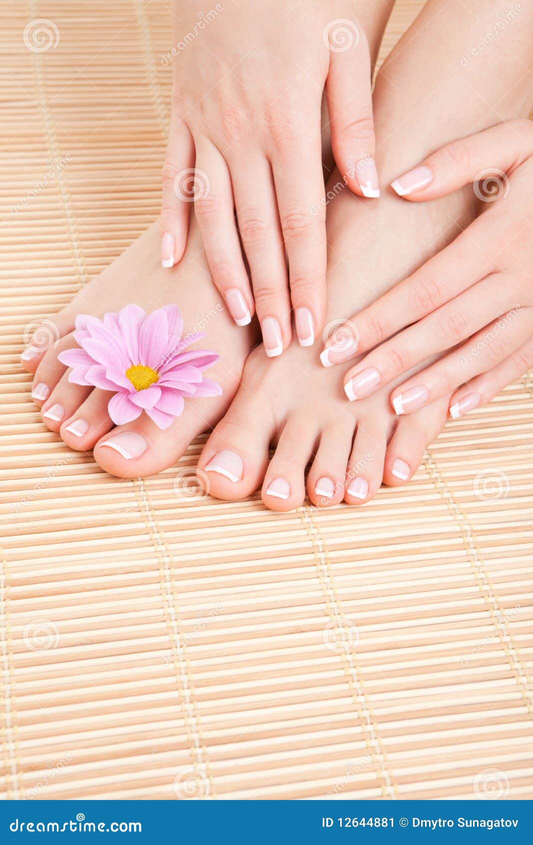 Care for woman legs stock image. Image of manicure, human - 12644881