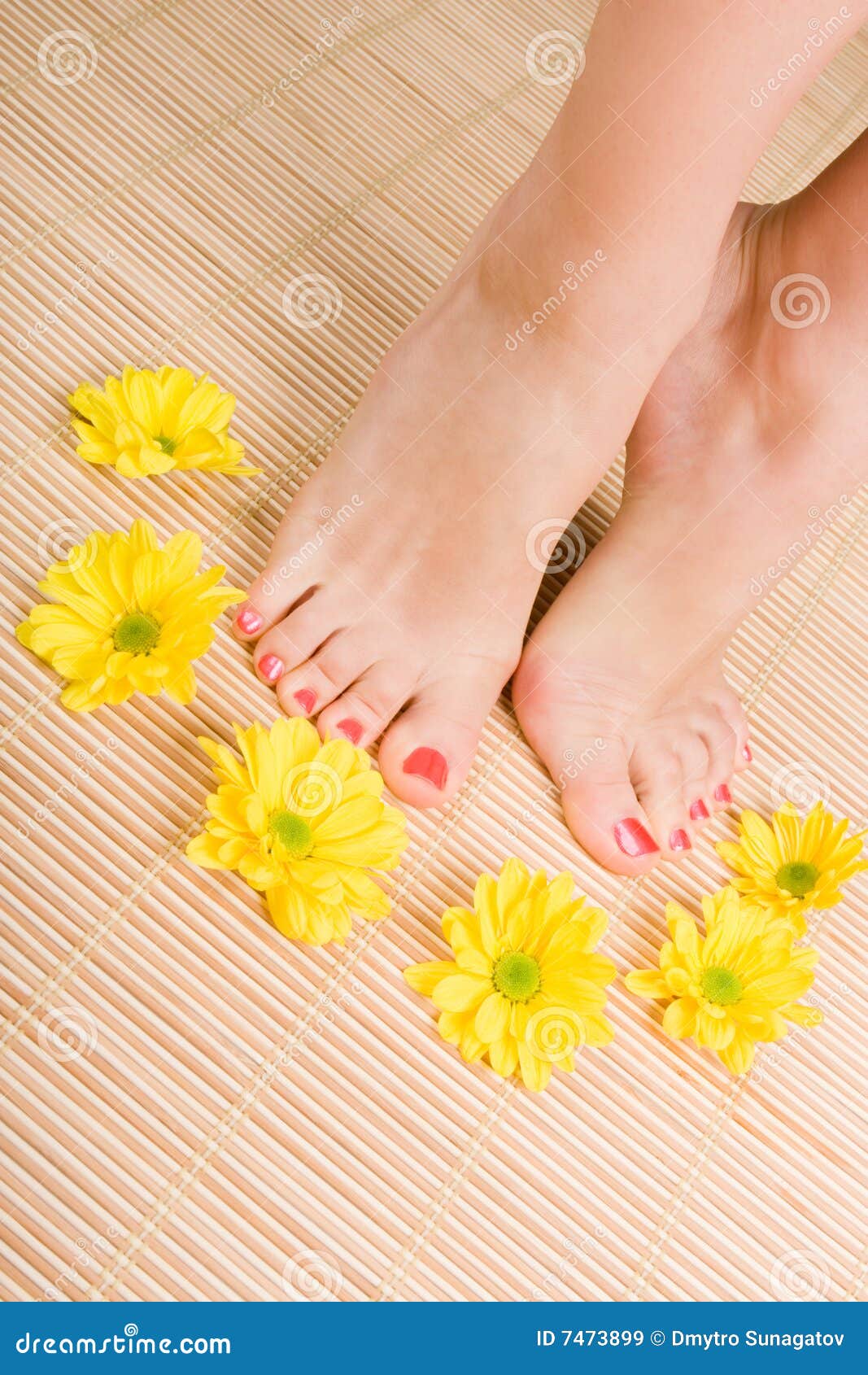 Care for woman legs stock image. Image of barefoot, legs - 7473899