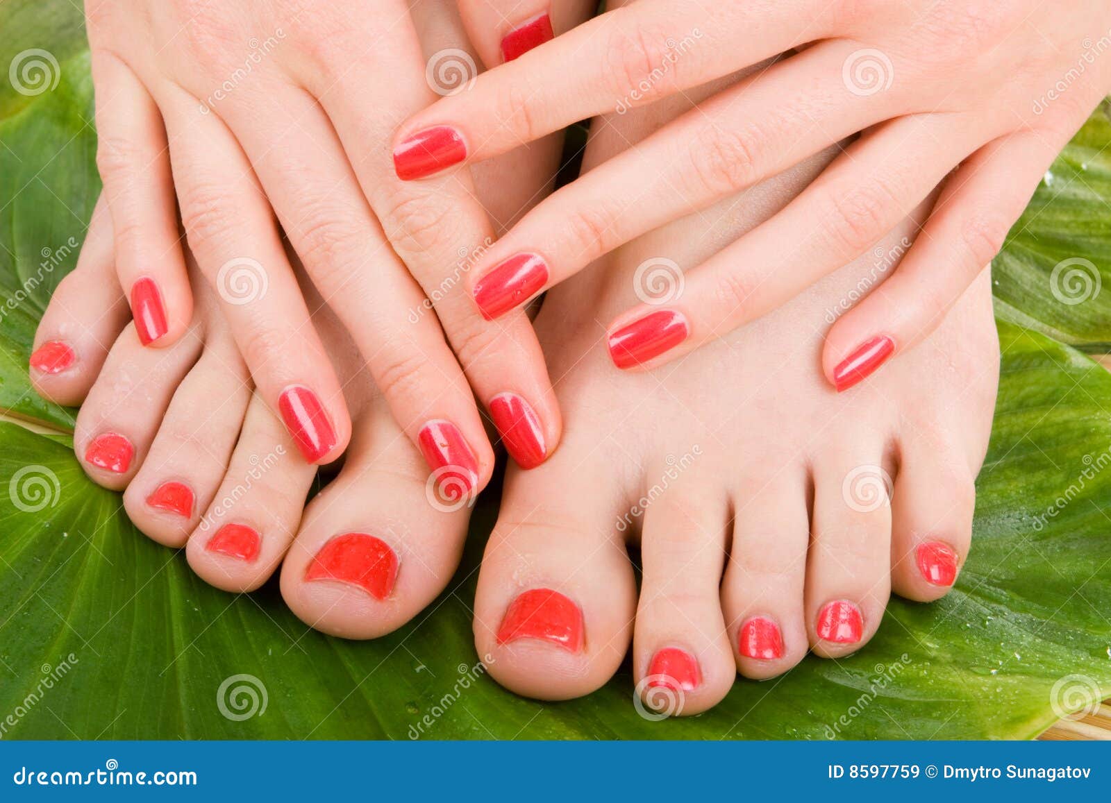 Care for woman legs stock image. Image of glamour, bamboo - 8597759