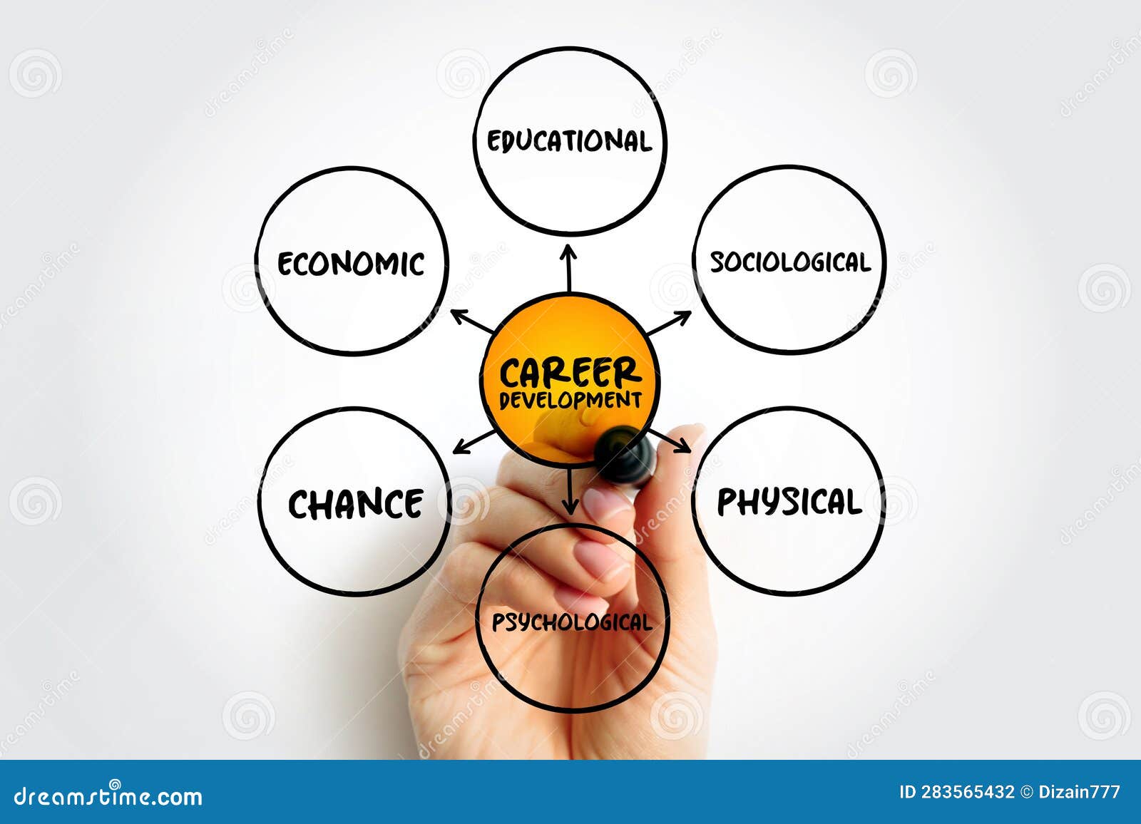 Career Development Refers To the Process an Individual May Undergo To ...