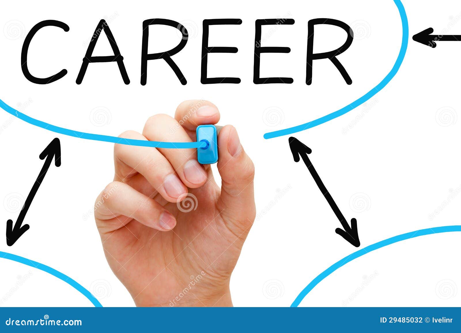Career Flow Chart Blue Marker Stock Photo - Image of business, chart ...