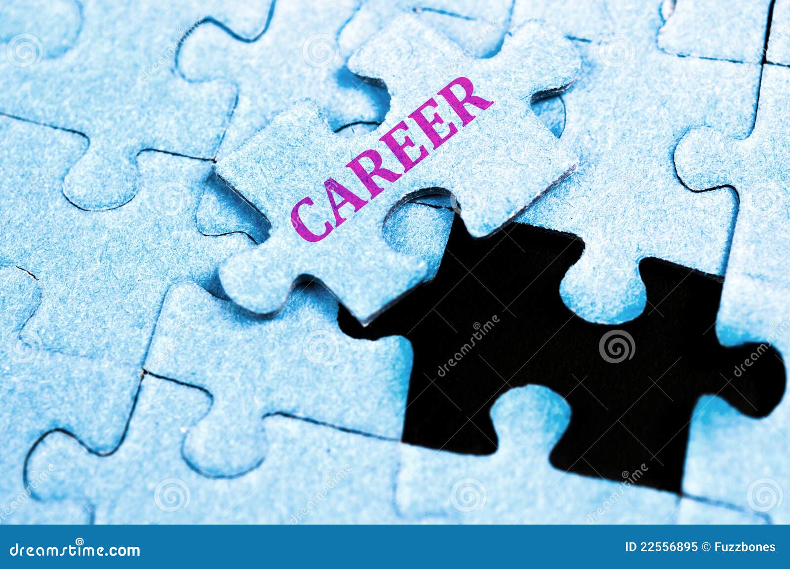 Career puzzle stock image. Image of professional, blue - 22556895