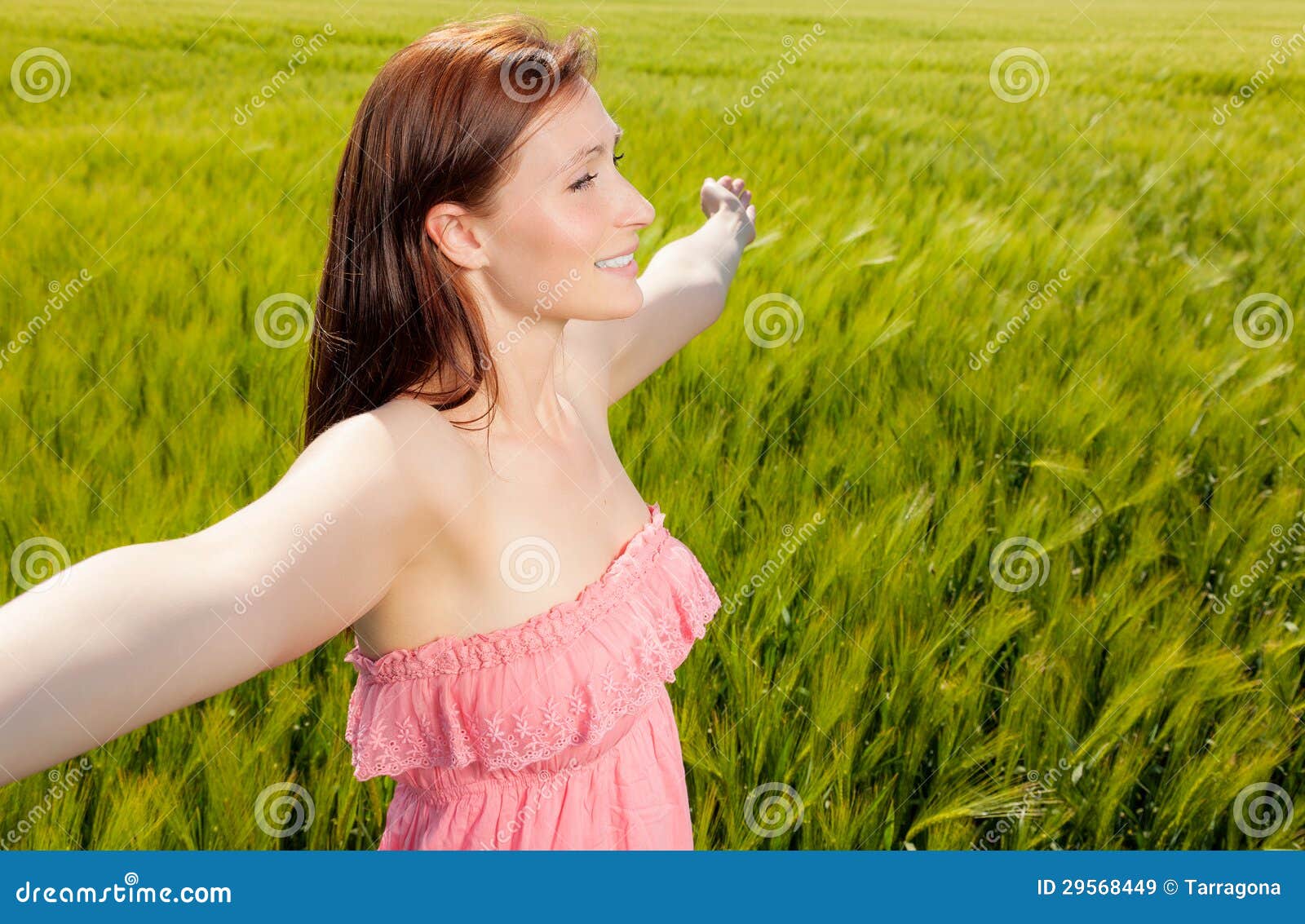 Carefree stock image. Image of happiness, meadow, freetime - 29568449
