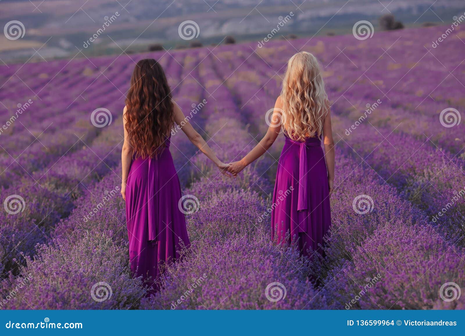 Carefree Two Women Hold Hands Enjoying Sunset in Lavender Field ... Carefree Two Women Hold Hands Enjoying Sunset in Lavender Field ...