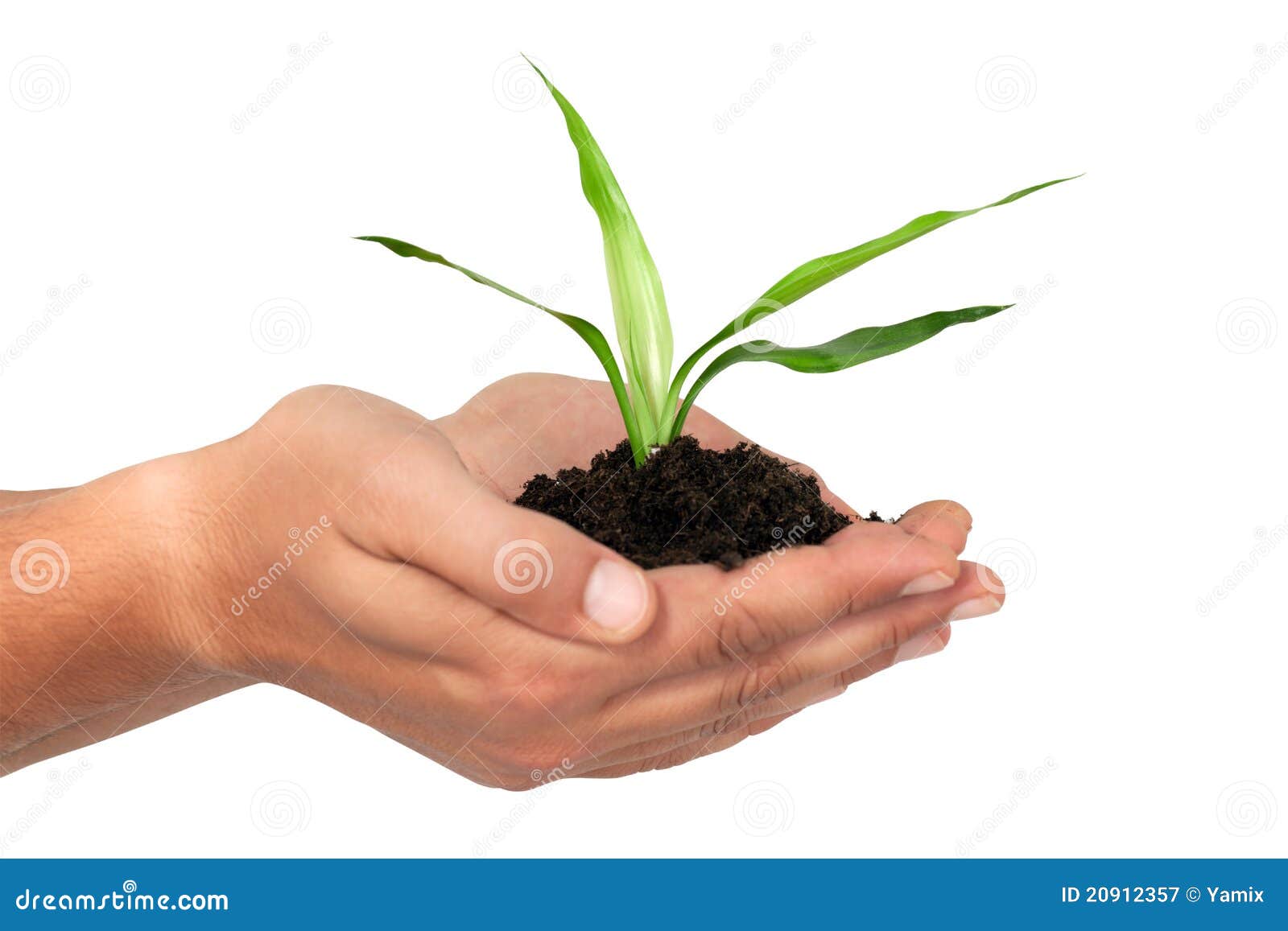 Careful stock image. Image of care, success, origins - 20912357