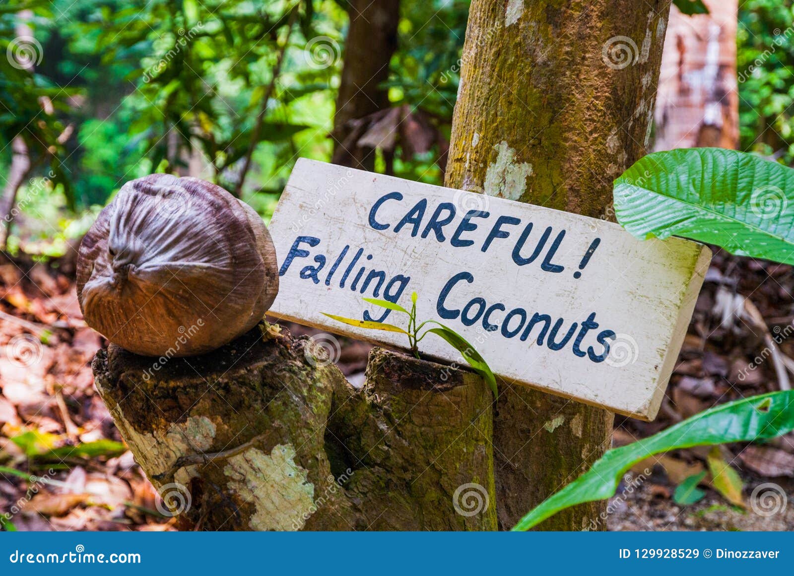 Careful, coconut sign stock image. Image of signs, symbol - 129928529
