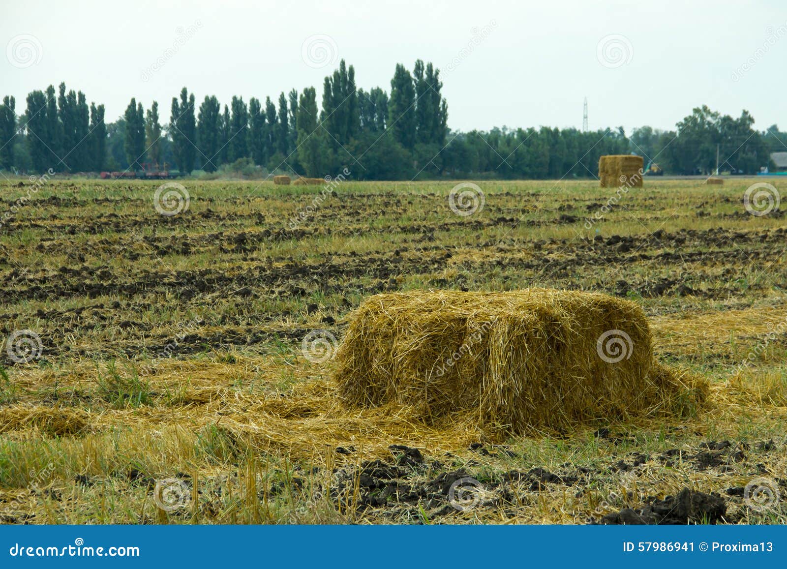Careless Stack Mown Hay Field Stock Image - Image of stack, haystack ...