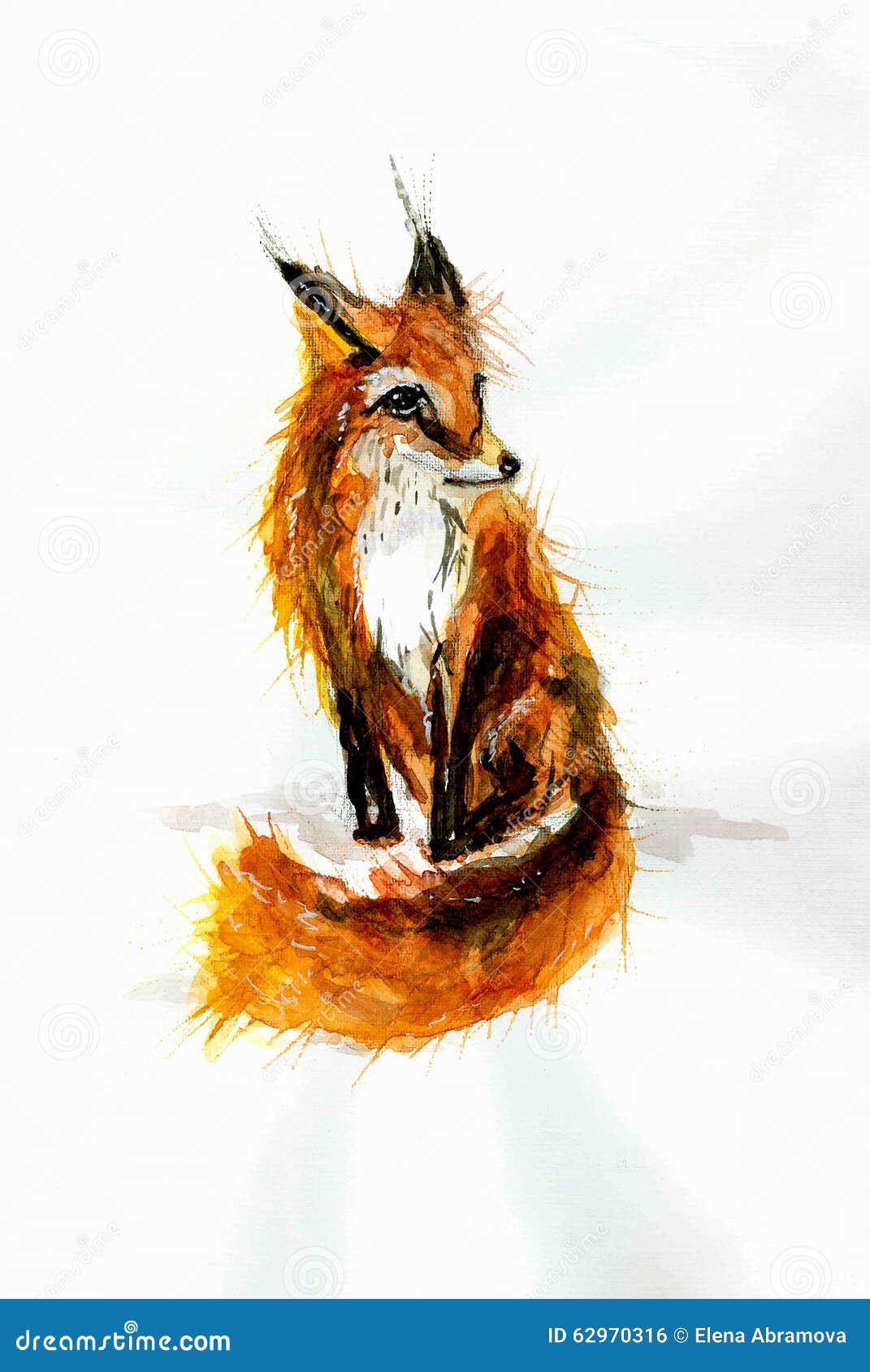 Red Fox Drawing