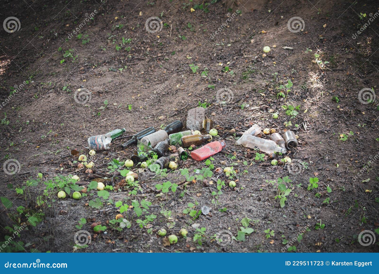 Carelessly Discarded Bottles and Garbage Lie on the Roadside Stock ...