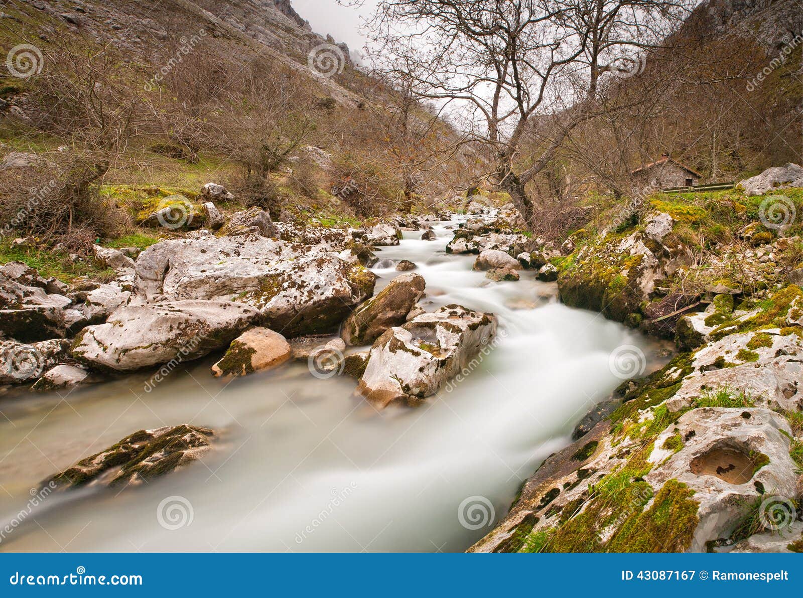 Cares River in Asturias, Spain. Stock Image - Image of forest, holiday ...