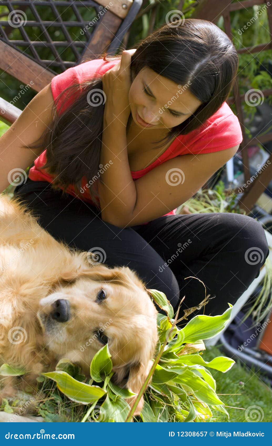 Caressing the dog stock image. Image of beauty, golden - 12308657