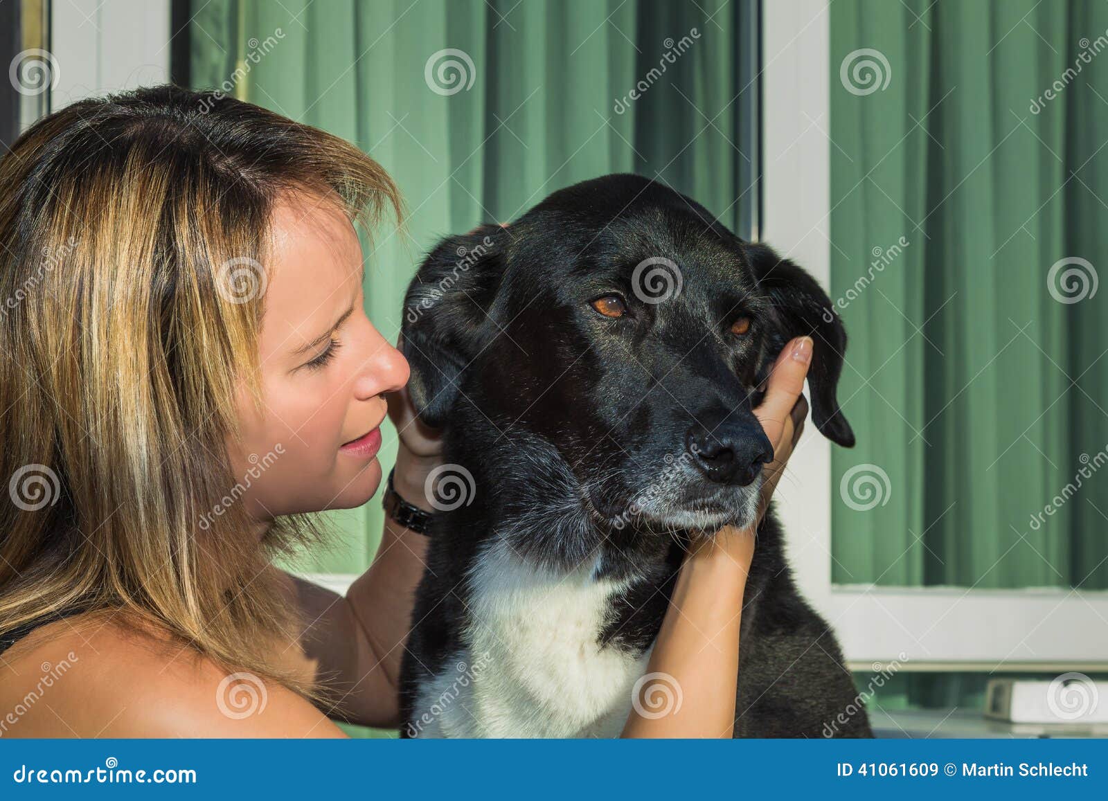 Caressing dog stock image. Image of cute, affectionate - 41061609